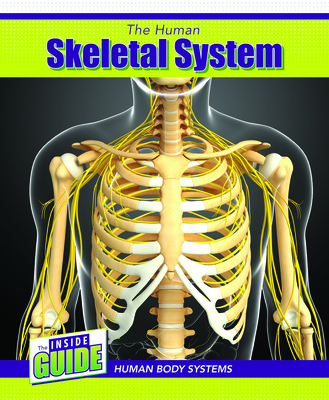 The Human Skeletal System by Cassie M Lawton | Goodreads