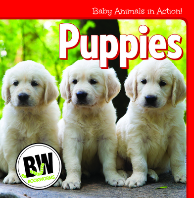 Puppies (Baby Animals in Action!) by Nicole Horning | Goodreads