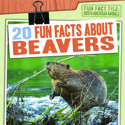 20 Fun Facts About Beavers by Charlie Light | Goodreads