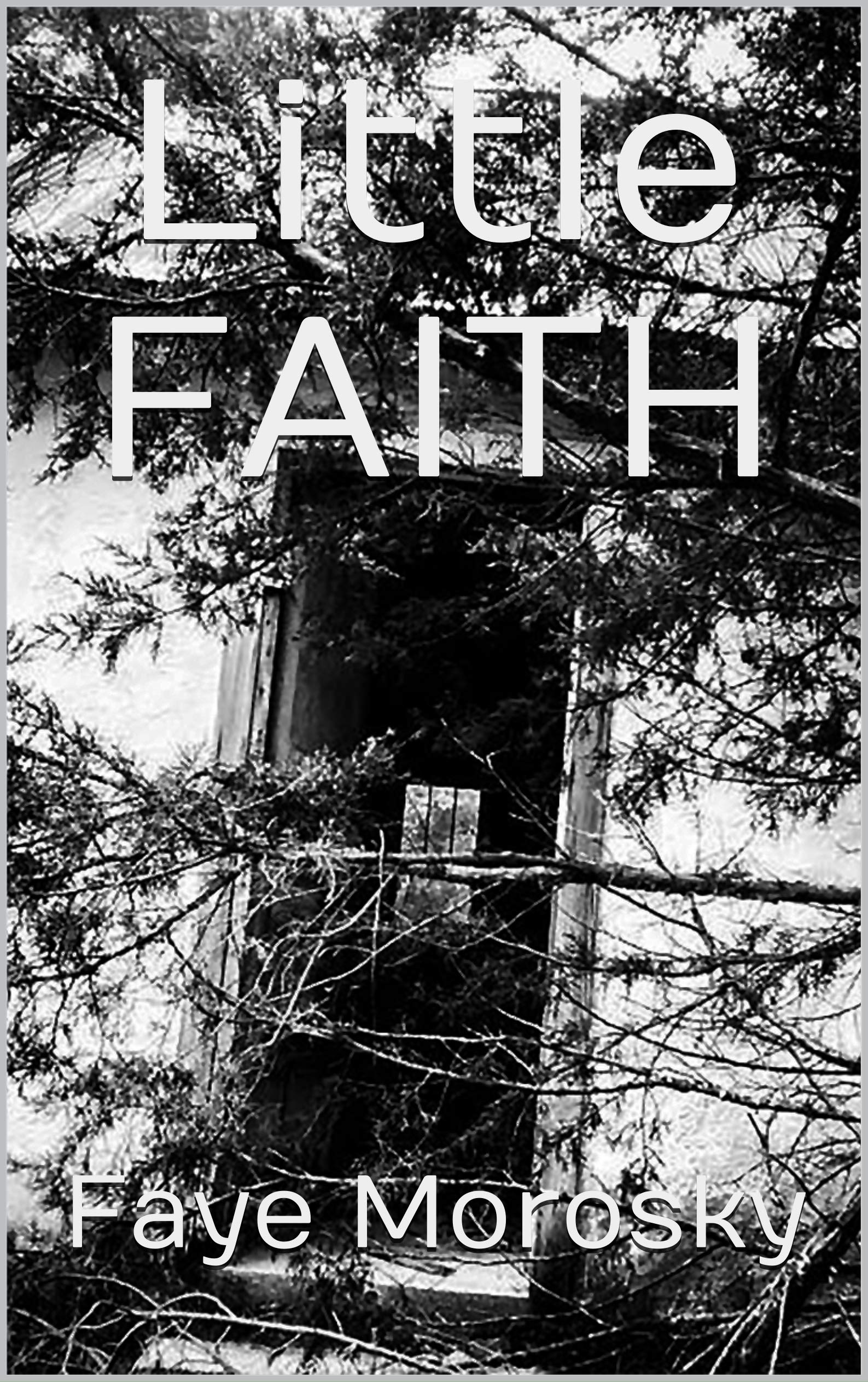 Little FAITH by Faye Morosky | Goodreads