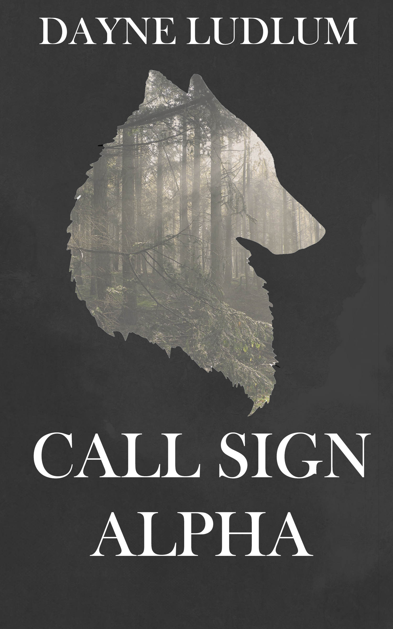 Call Sign Alpha by Dayne Ludlum | Goodreads