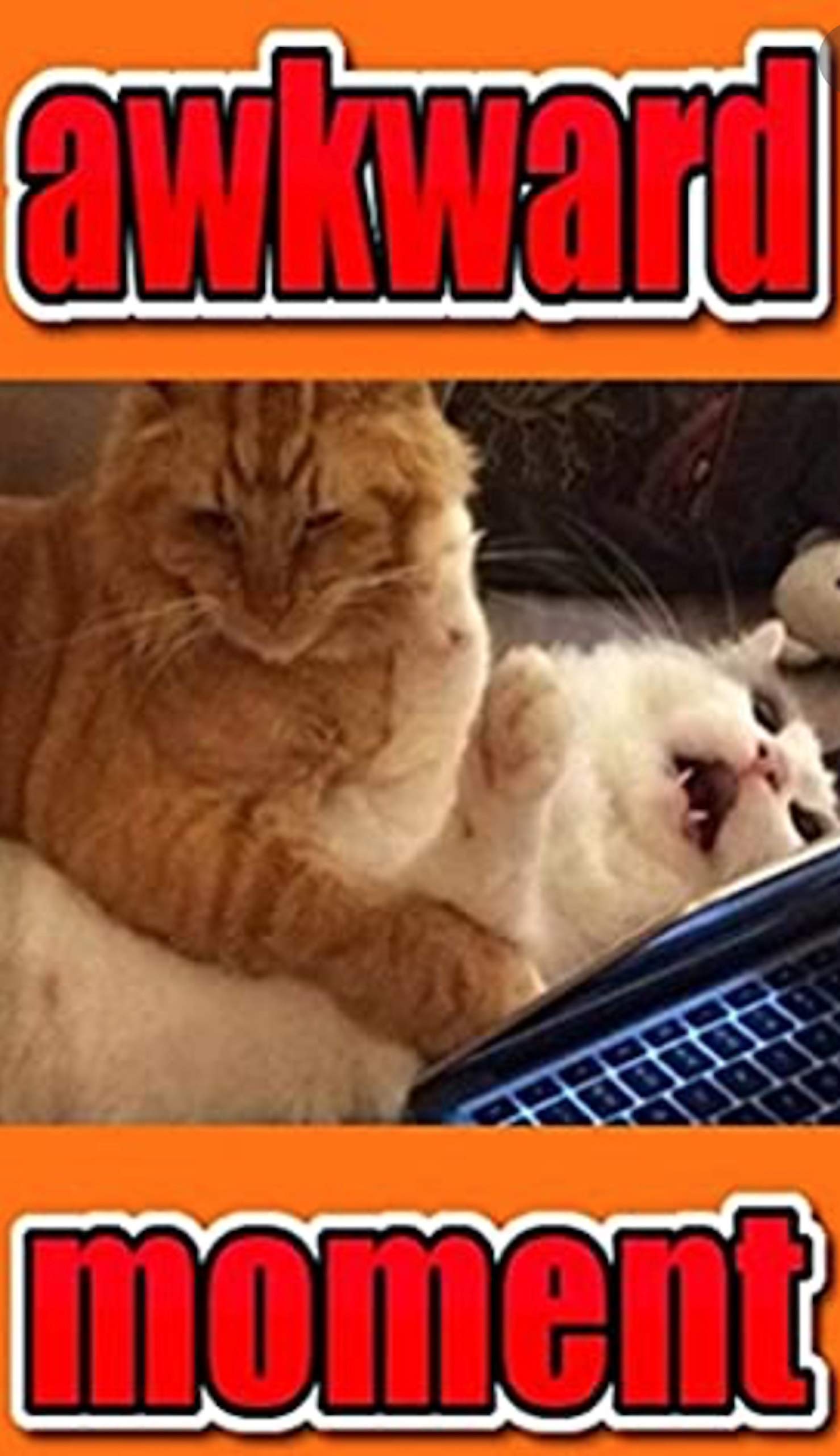 Memes: Awkward Moment Funny Memes Collection Hilarious Awkward Moments ...