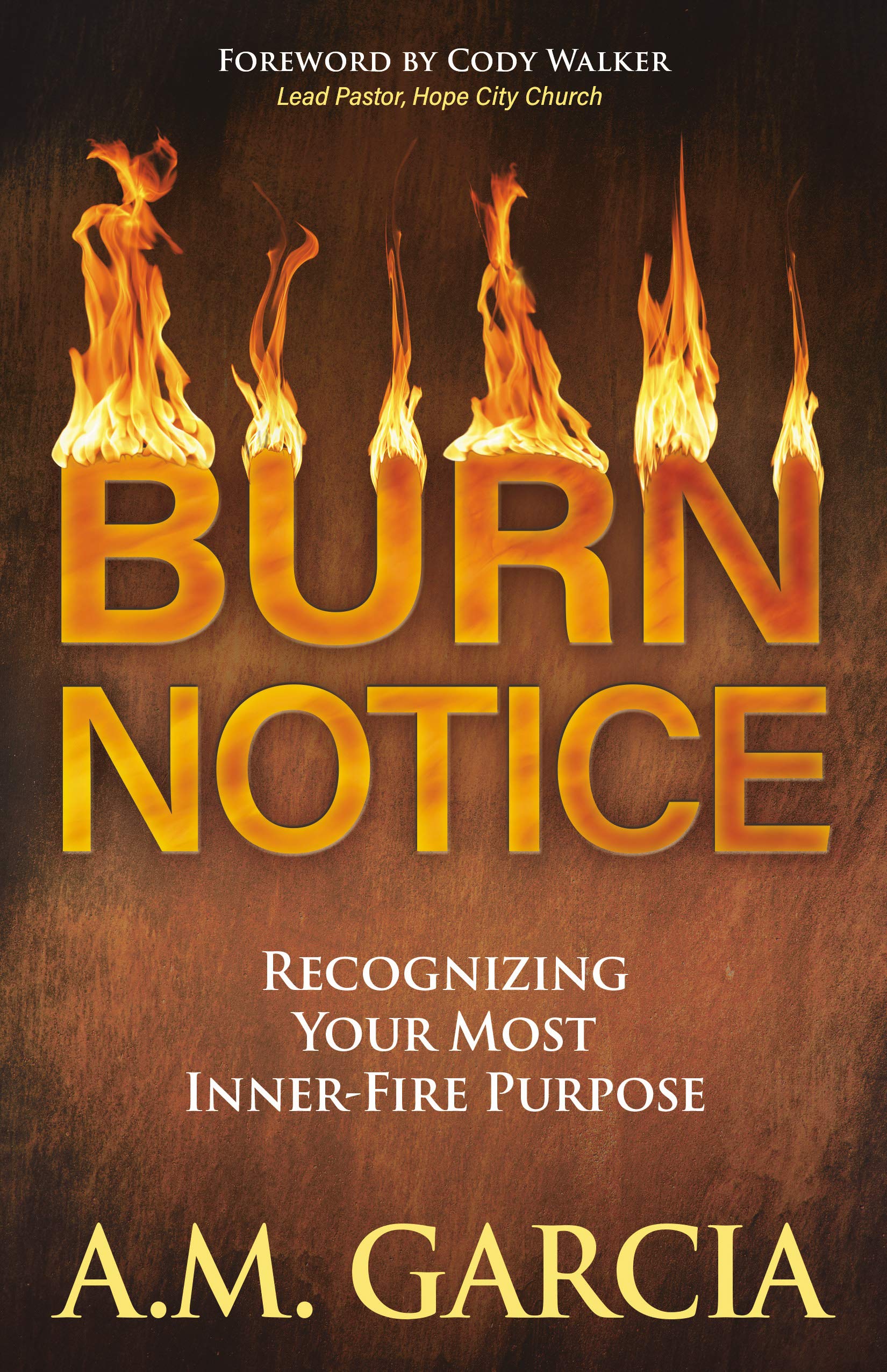 Burn Notice: Recognizing Your Most Inner-Fire Purpose by A.M. Garcia ...