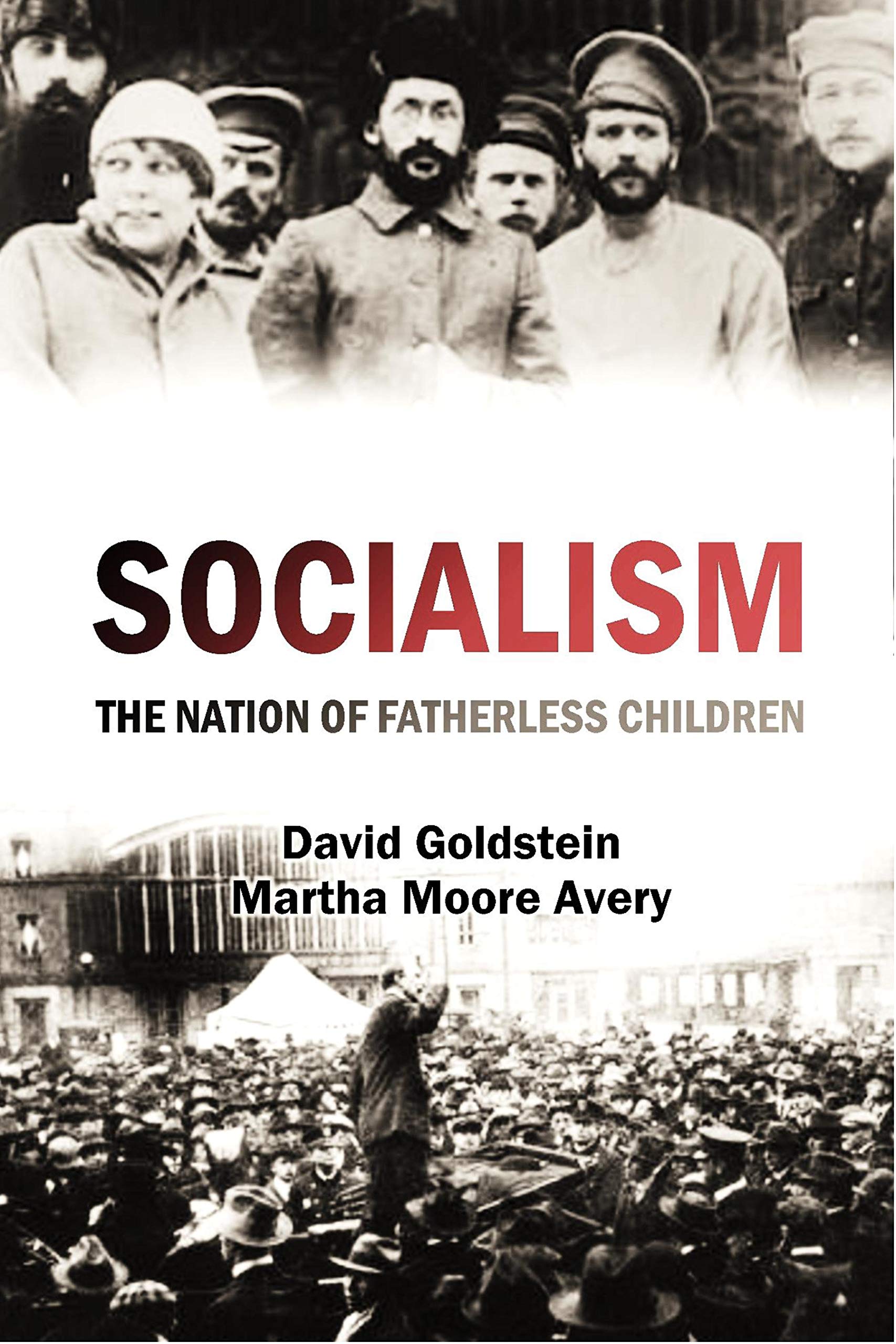Socialism: The Nation of Fatherless Children by David Goldstein | Goodreads
