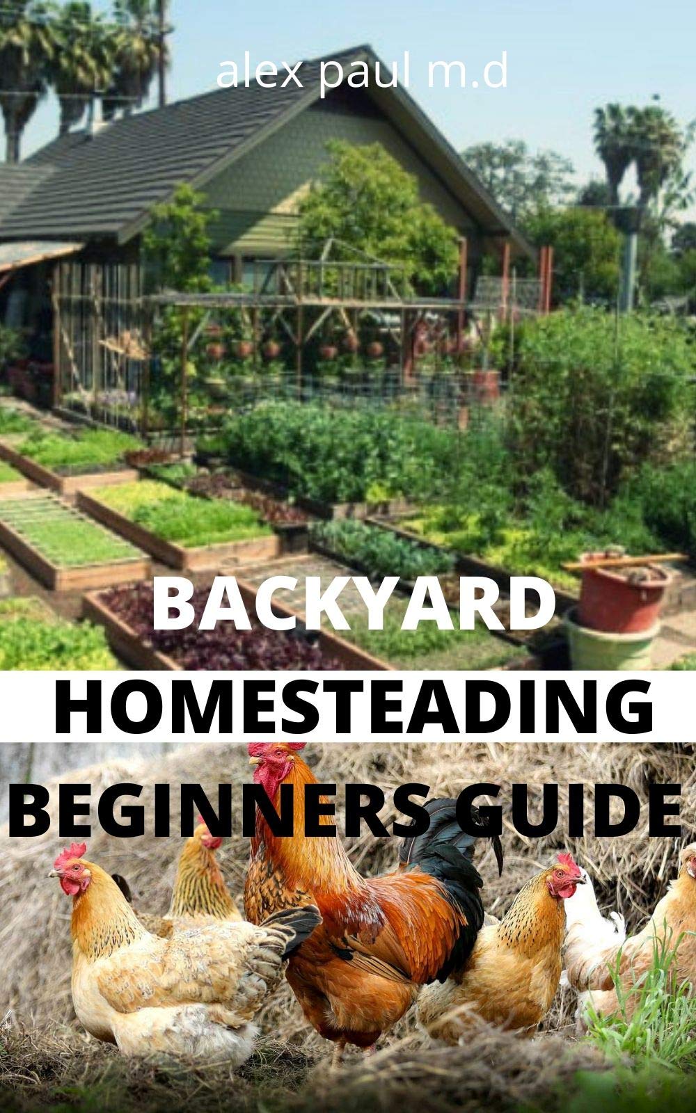 Backyard Homesteading Beginners Guide Guide To Growing Your Own Food