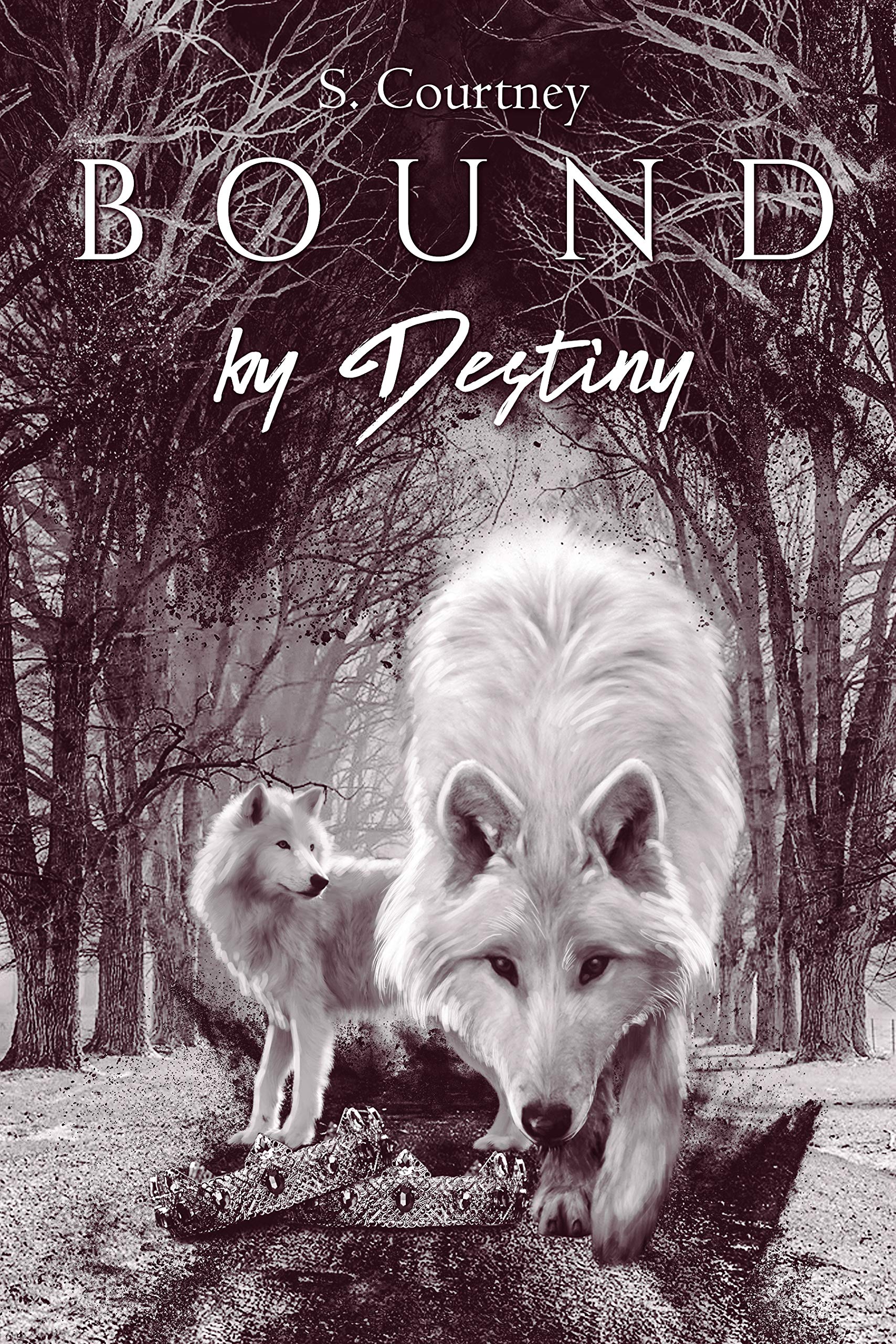 Bound by Destiny (The Bound Series Book 2) by S. Courtney | Goodreads