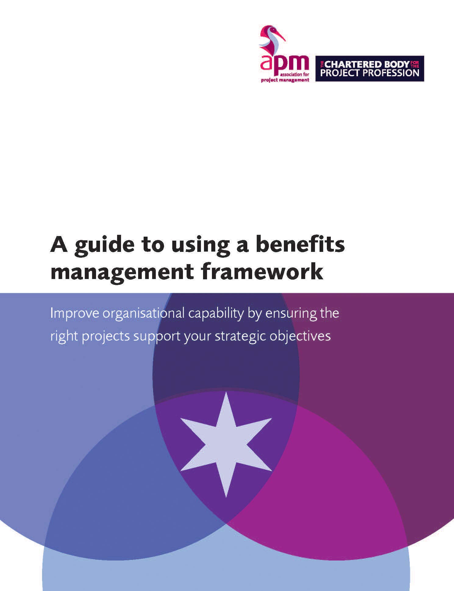 A guide to using a benefits management framework: Improve ...