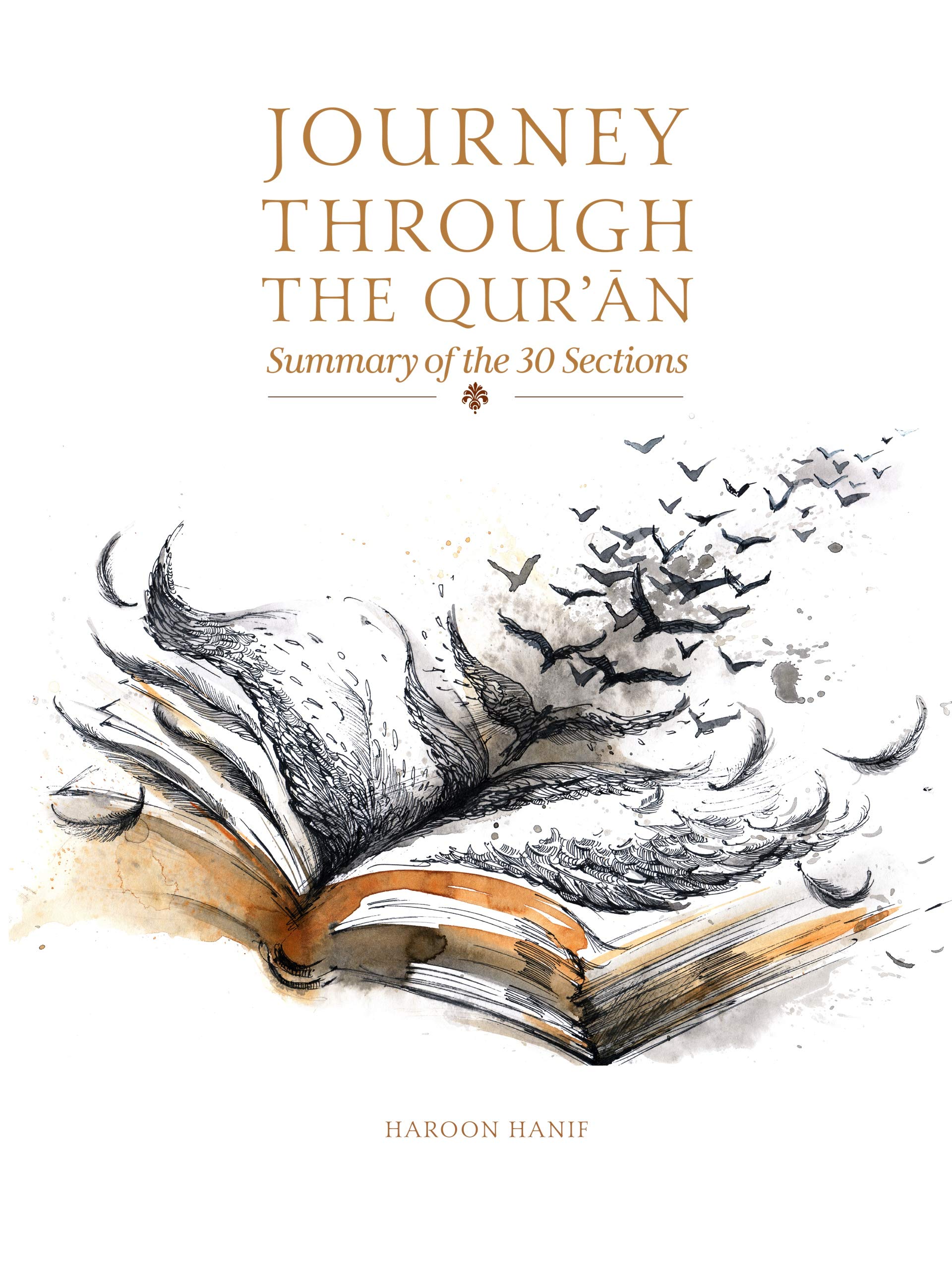 Journey Through The Quran: Summary of the 30 Sections by Haroon Hanif ...