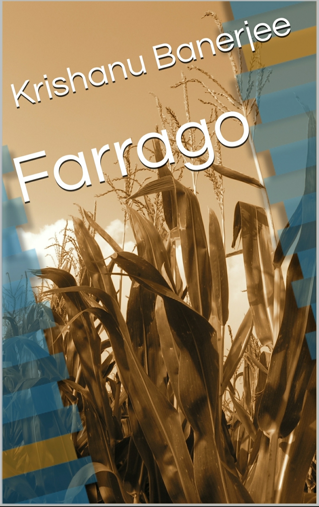 Farrago (A Collection of Crazy Thoughts) by Krishanu Banerjee | Goodreads