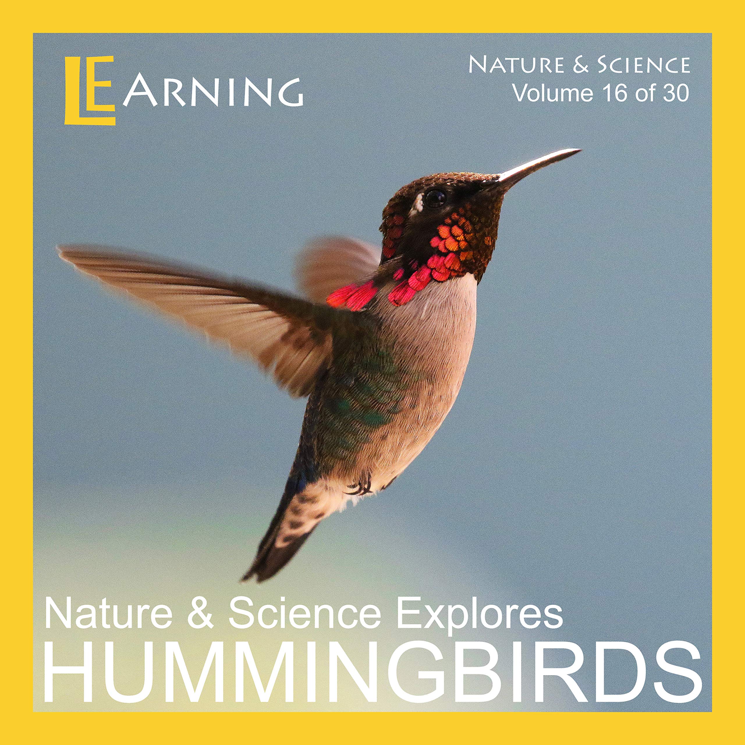 Hummingbirds (Nature & Science Book 16) by L.E. Arning | Goodreads