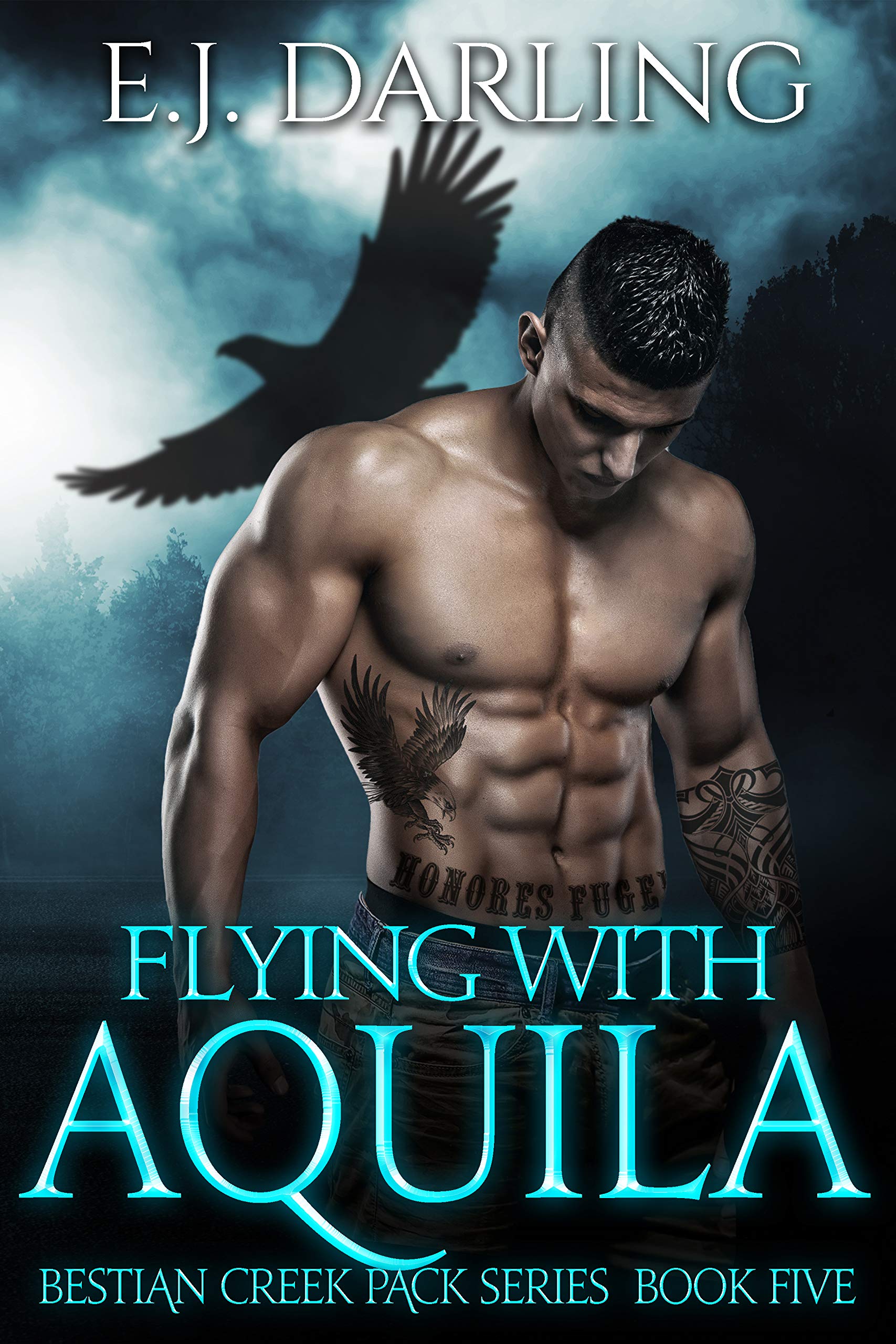 Flying with Aquila (Bestian Creek Pack Book 5) by E.J. Darling | Goodreads