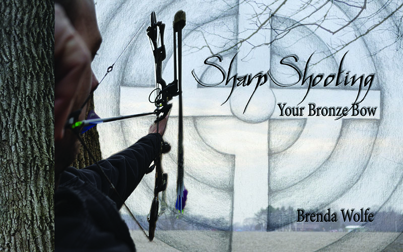 SharpShooting: Your Bronze Bow by Brenda Wolfe | Goodreads