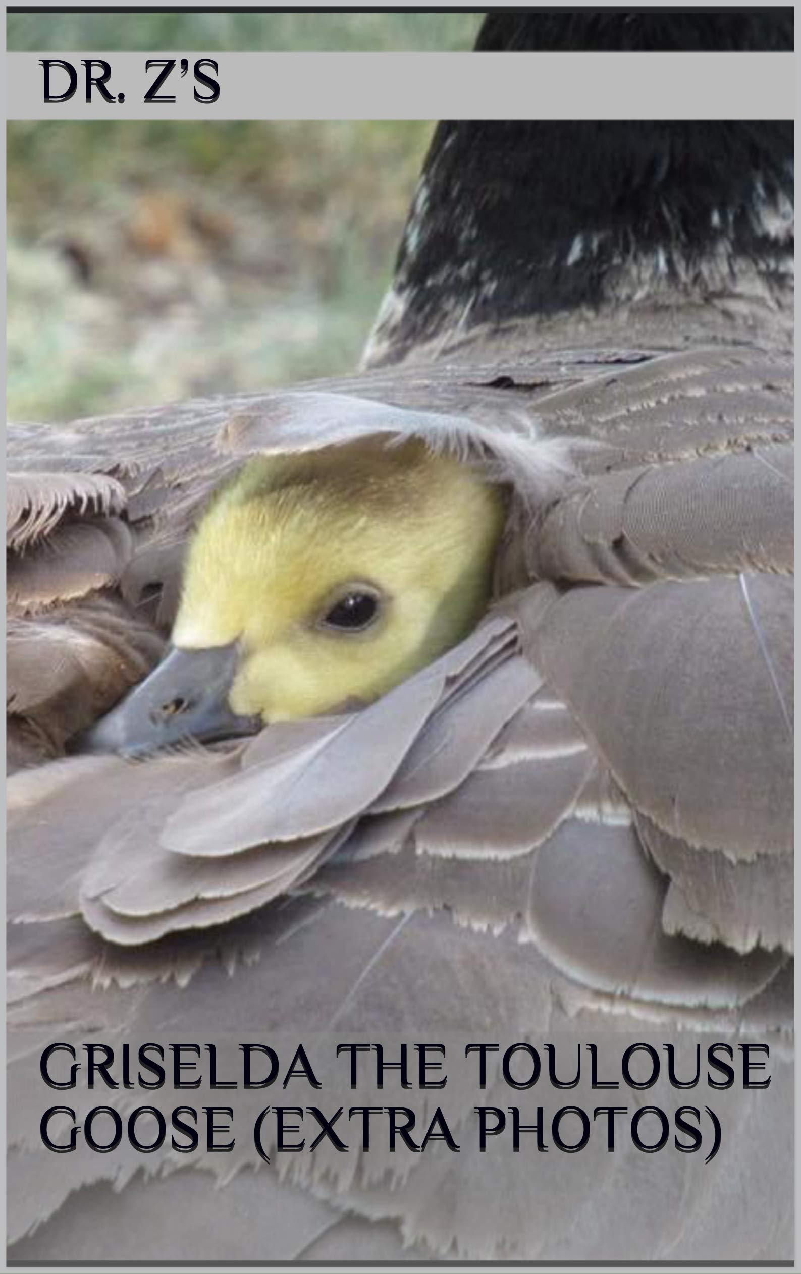 Griselda the Toulouse Goose (extra photos) by Dr. Jael Zebulun | Goodreads
