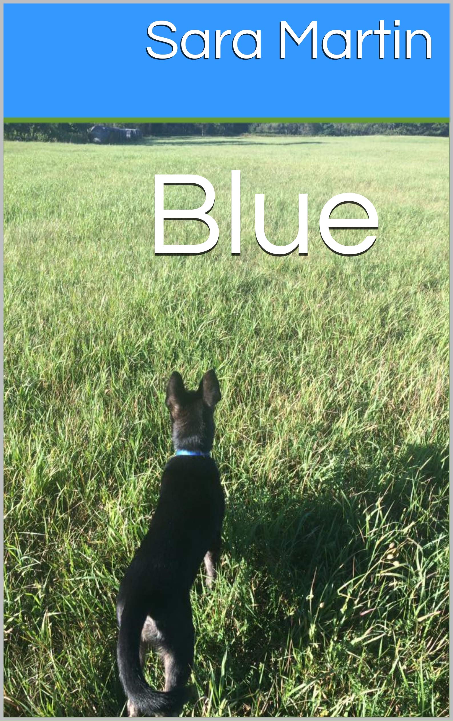 Blue (The Blue series Book 1) by Sara Martin | Goodreads