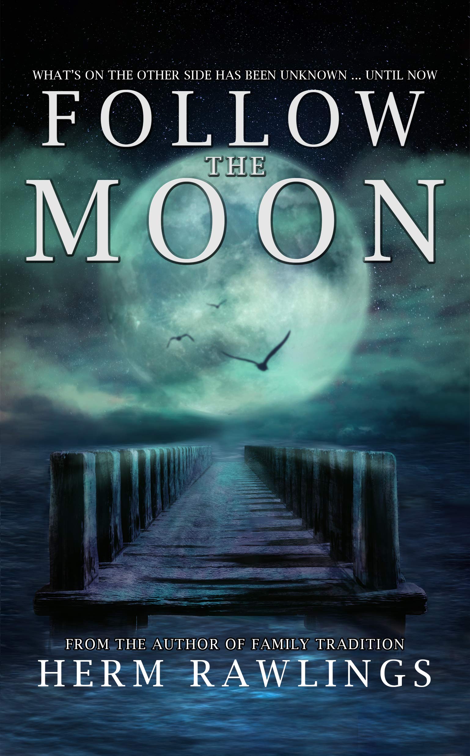 Follow the Moon by Herm Rawlings | Goodreads