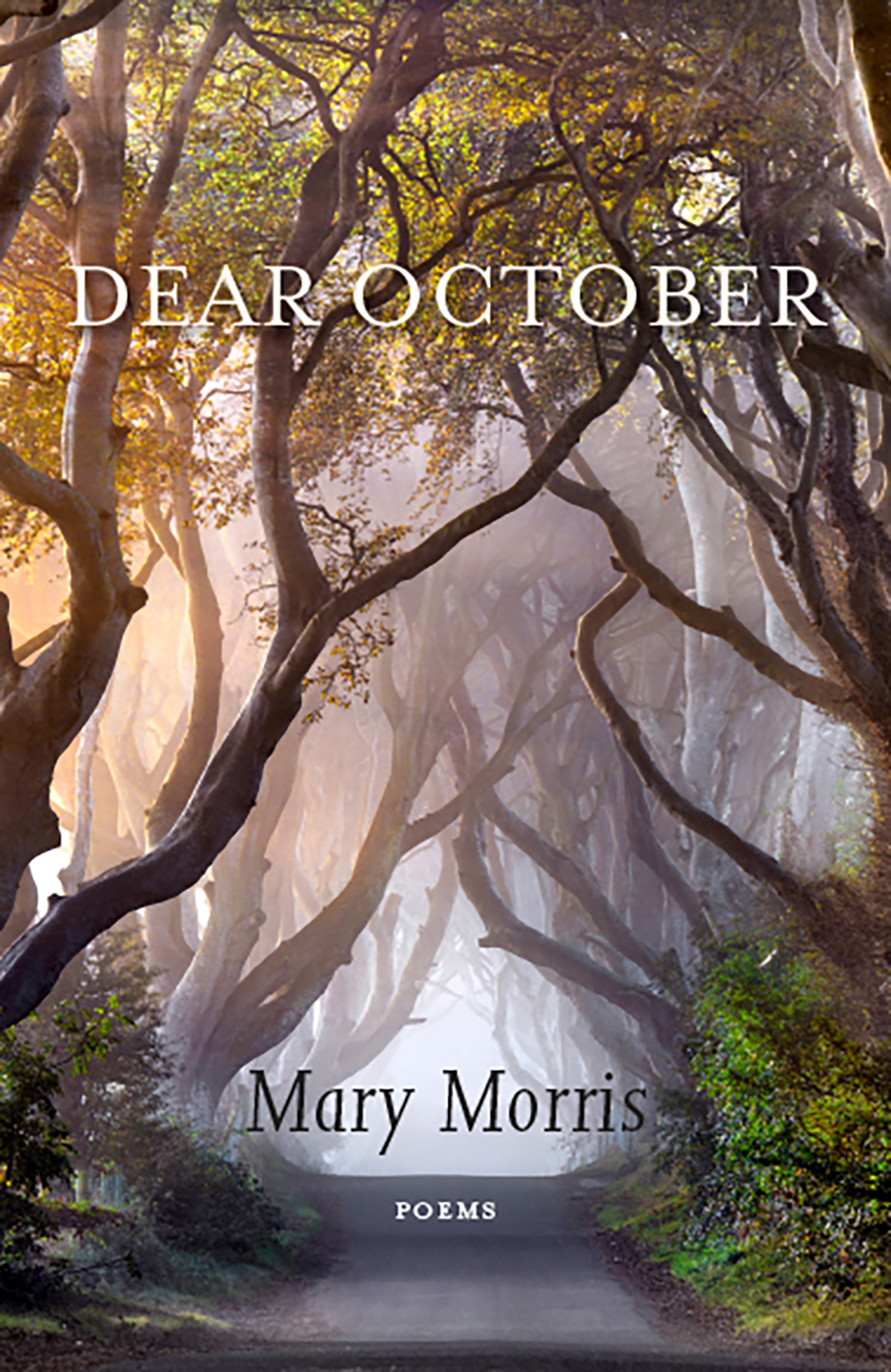 Dear October: Poems by Mary Morris | Goodreads