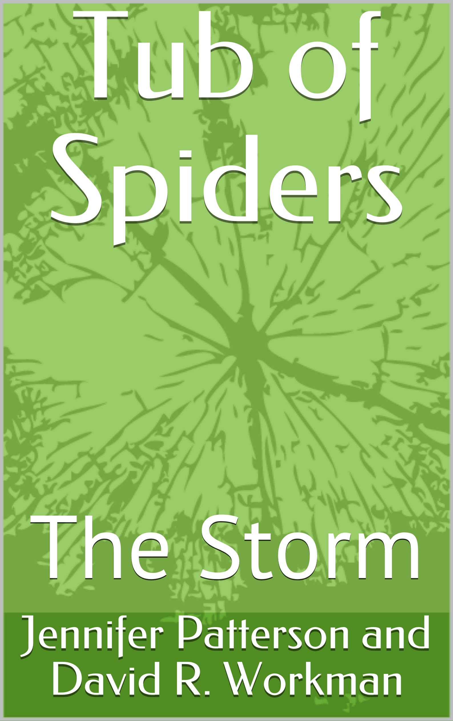 Tub of Spiders: The Storm by Jennifer Patterson and David R. Workman ...