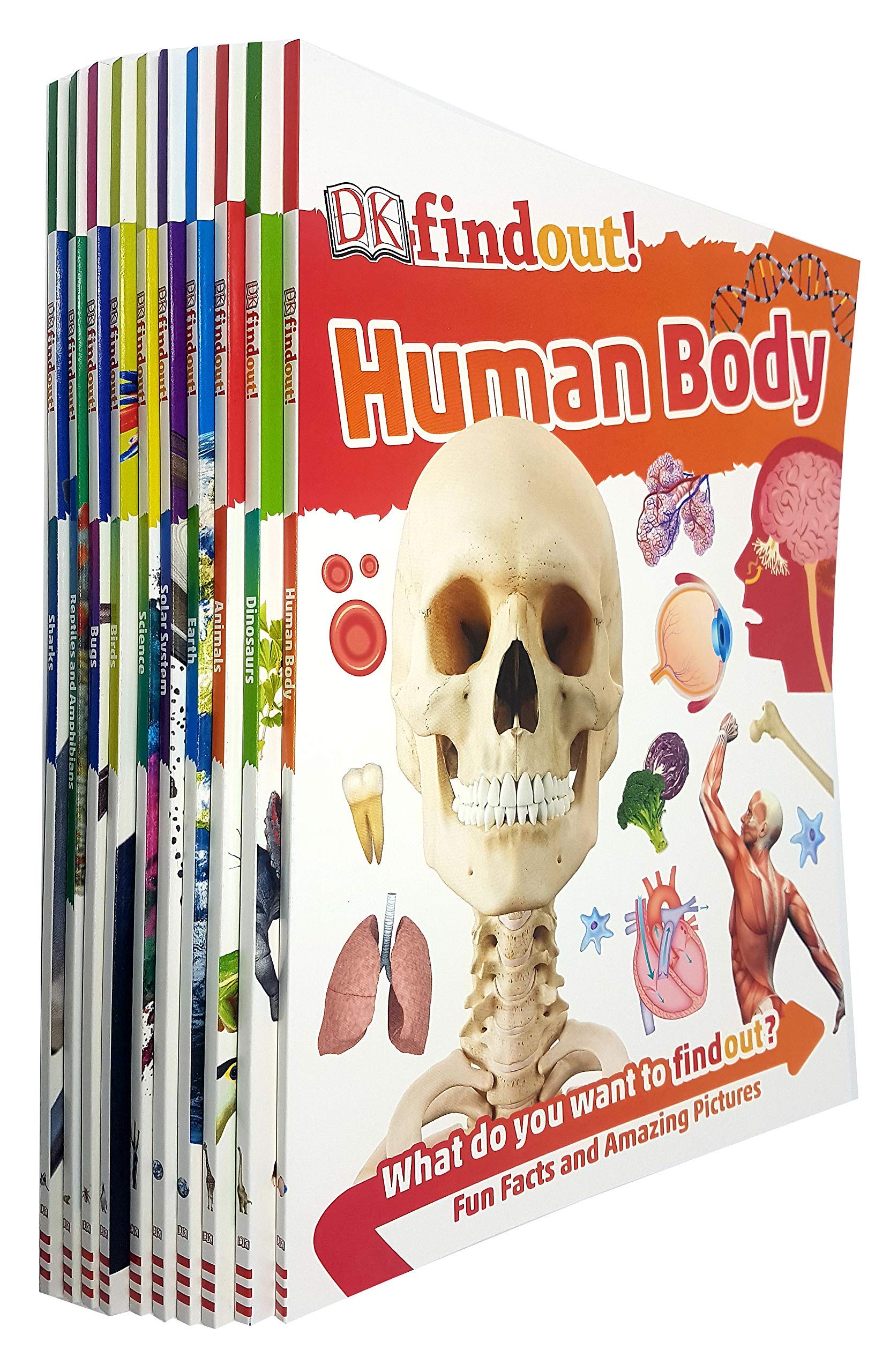 DK Findout! Series with Fun Facts and Amazing Pictures 10 Books ...