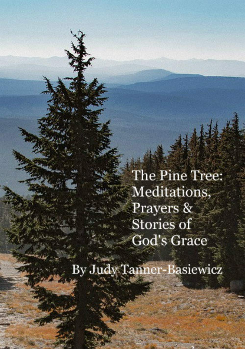 The Pine Tree: Meditations, Prayers and Stories of God's Grace by Judy ...