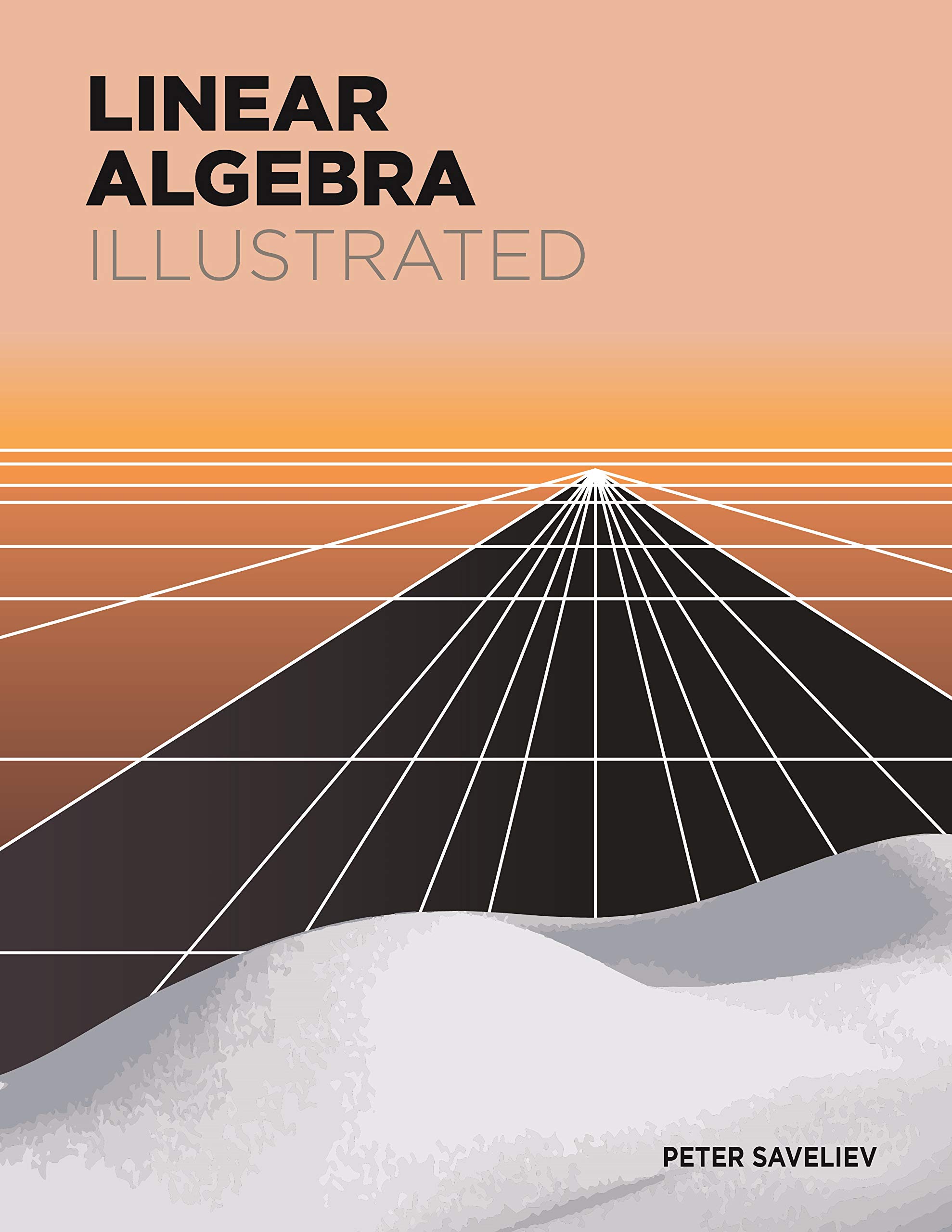 Linear Algebra Illustrated by Peter Saveliev | Goodreads
