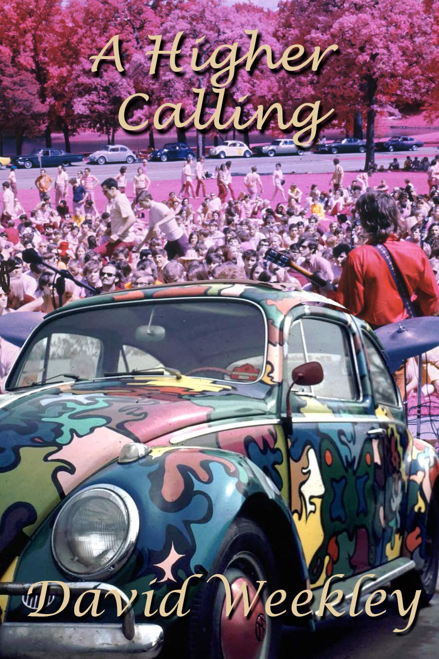 A Higher Calling by David Weekley | Goodreads