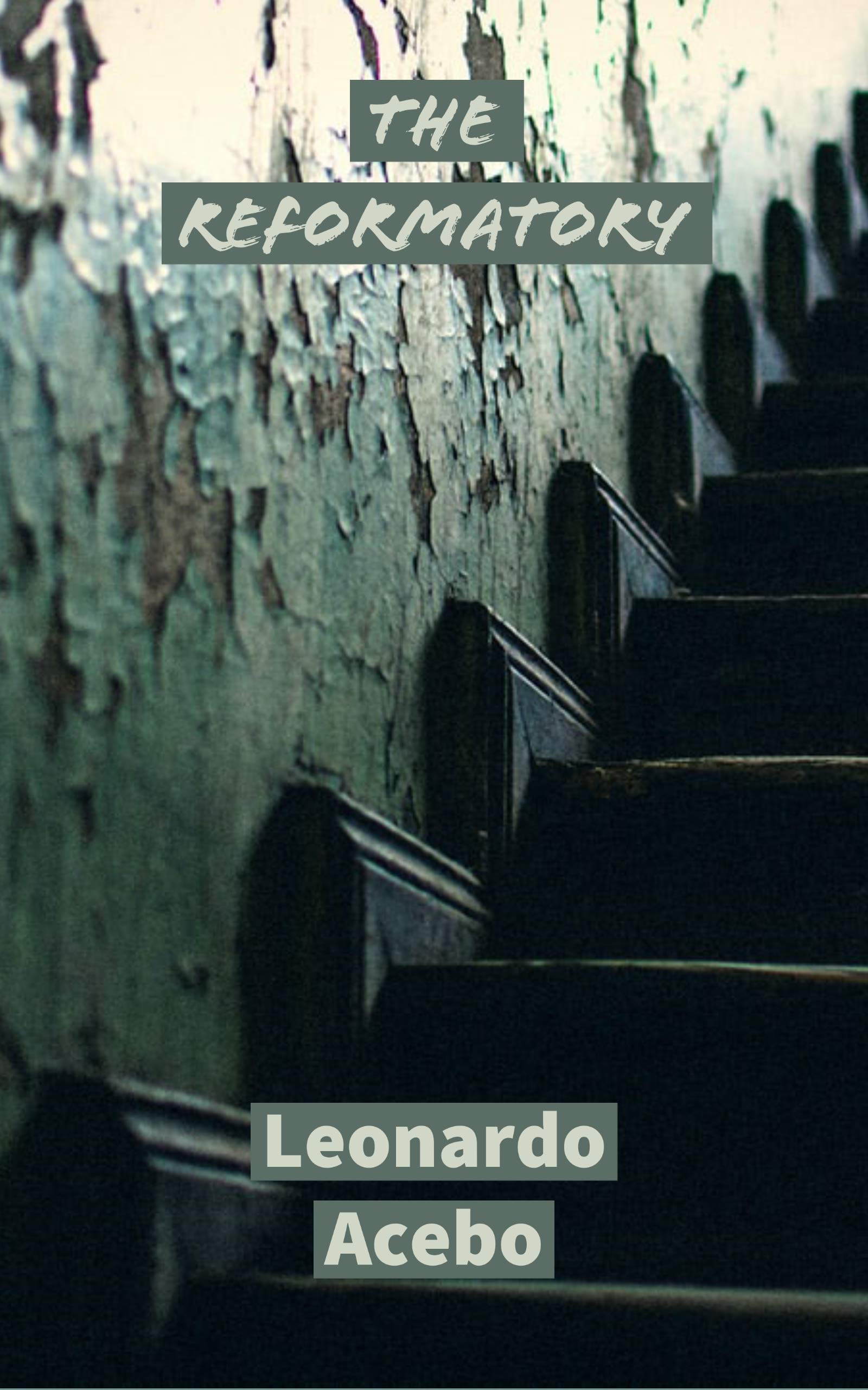 The Reformatory by Leonardo Acebo | Goodreads