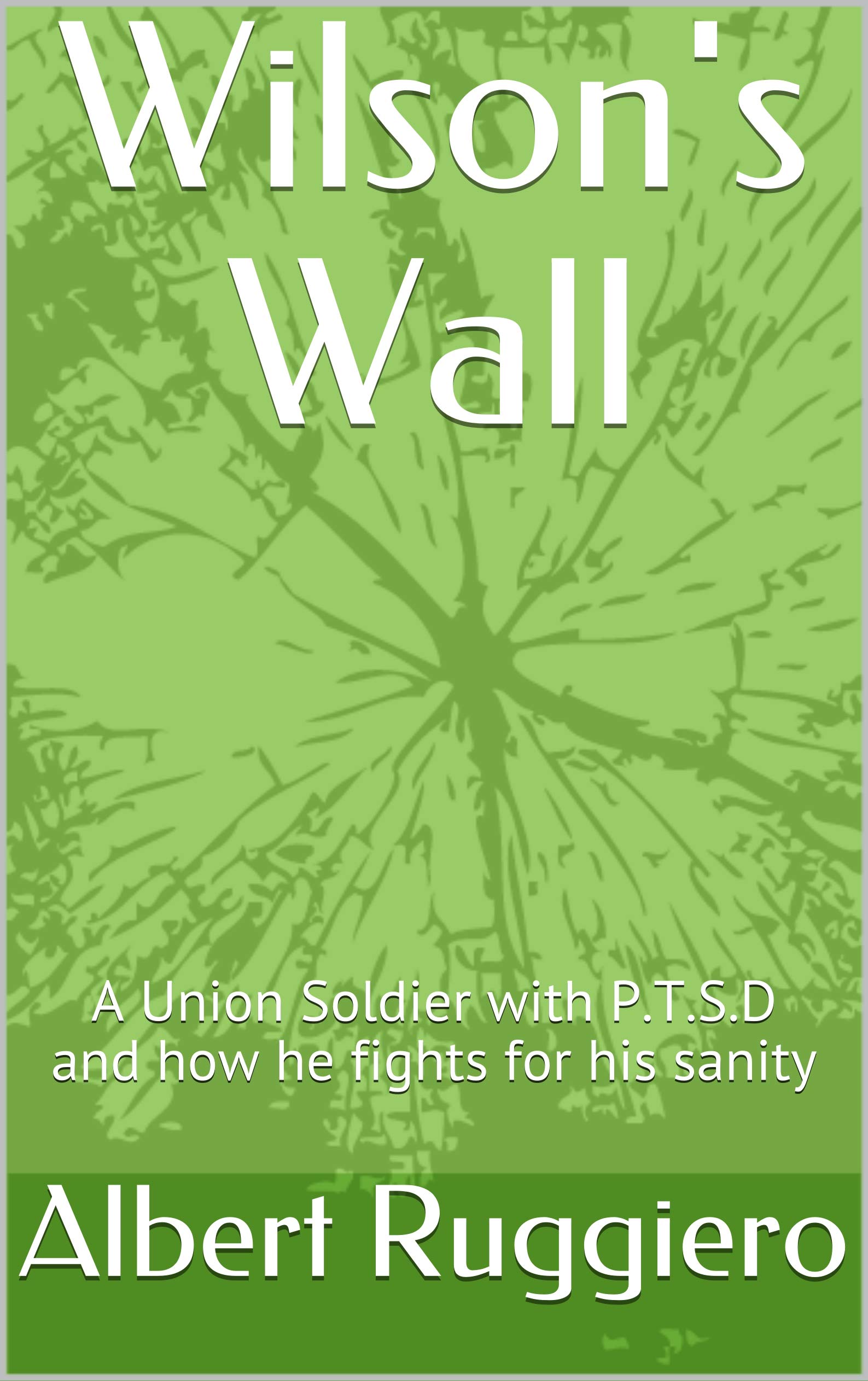 Wilson's Wall: A Union Soldier with P.T.S.D and how he fights for his ...