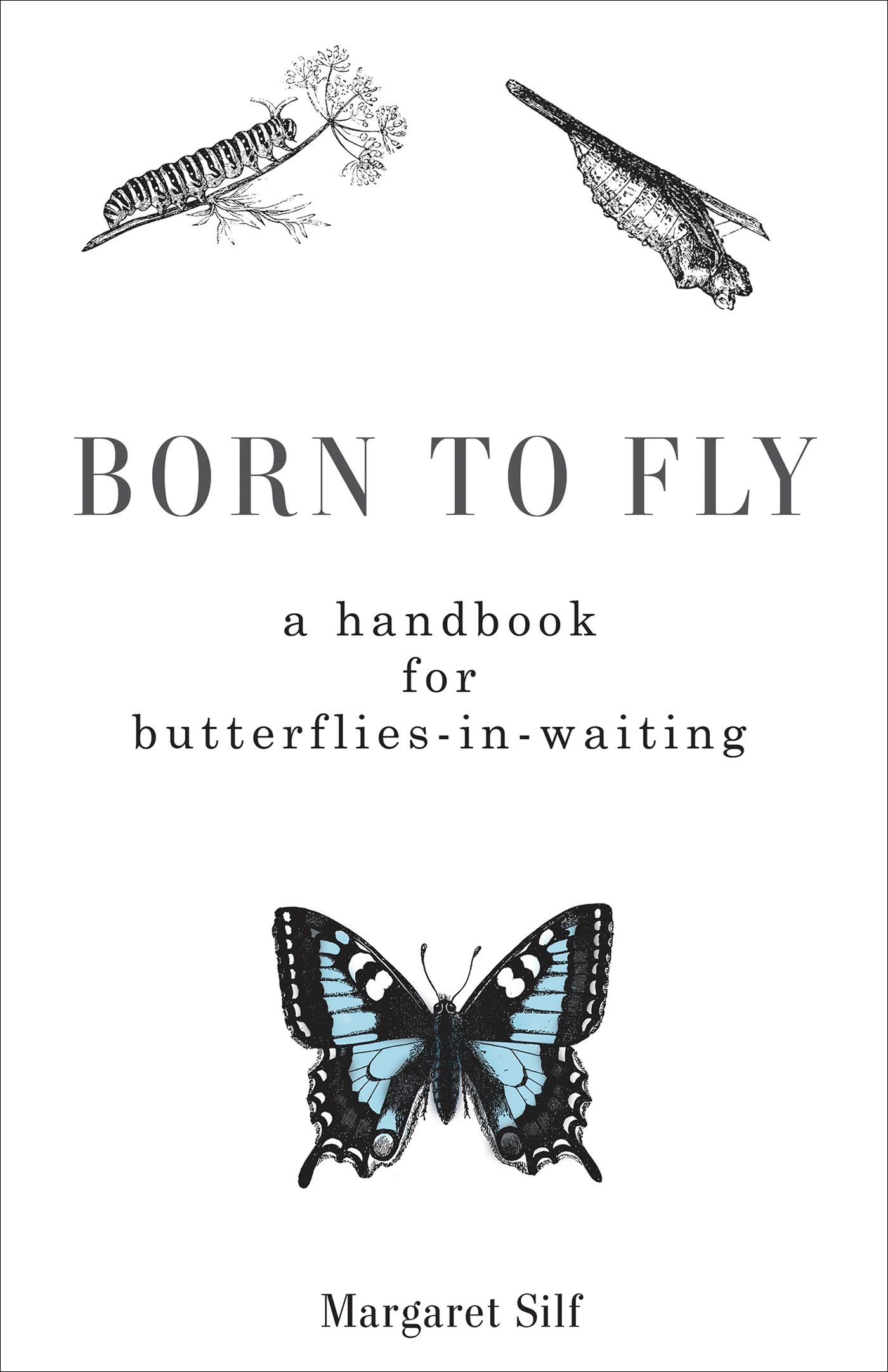 Born to Fly: A Handbook for Butterflies-in-Waiting by Margaret Silf ...