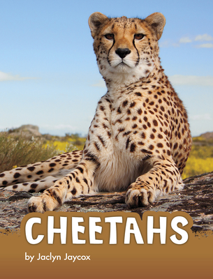 Cheetahs (Animals) by Jaclyn Jaycox | Goodreads