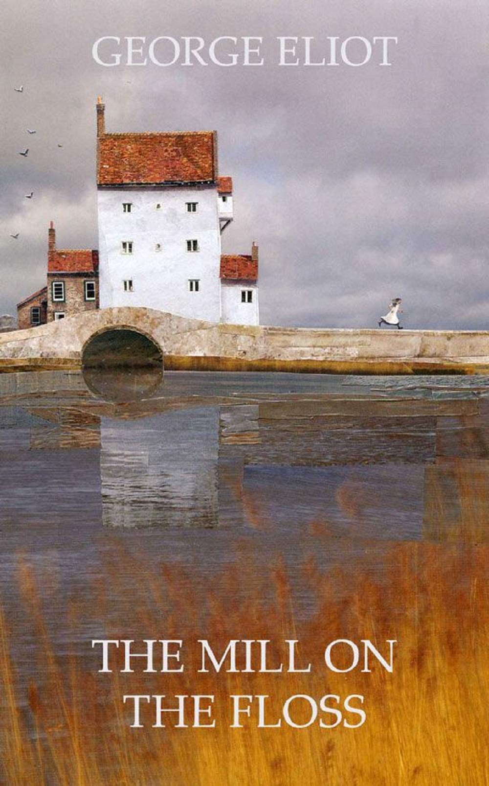 The Mill on the Floss Illustrated by George Eliot | Goodreads