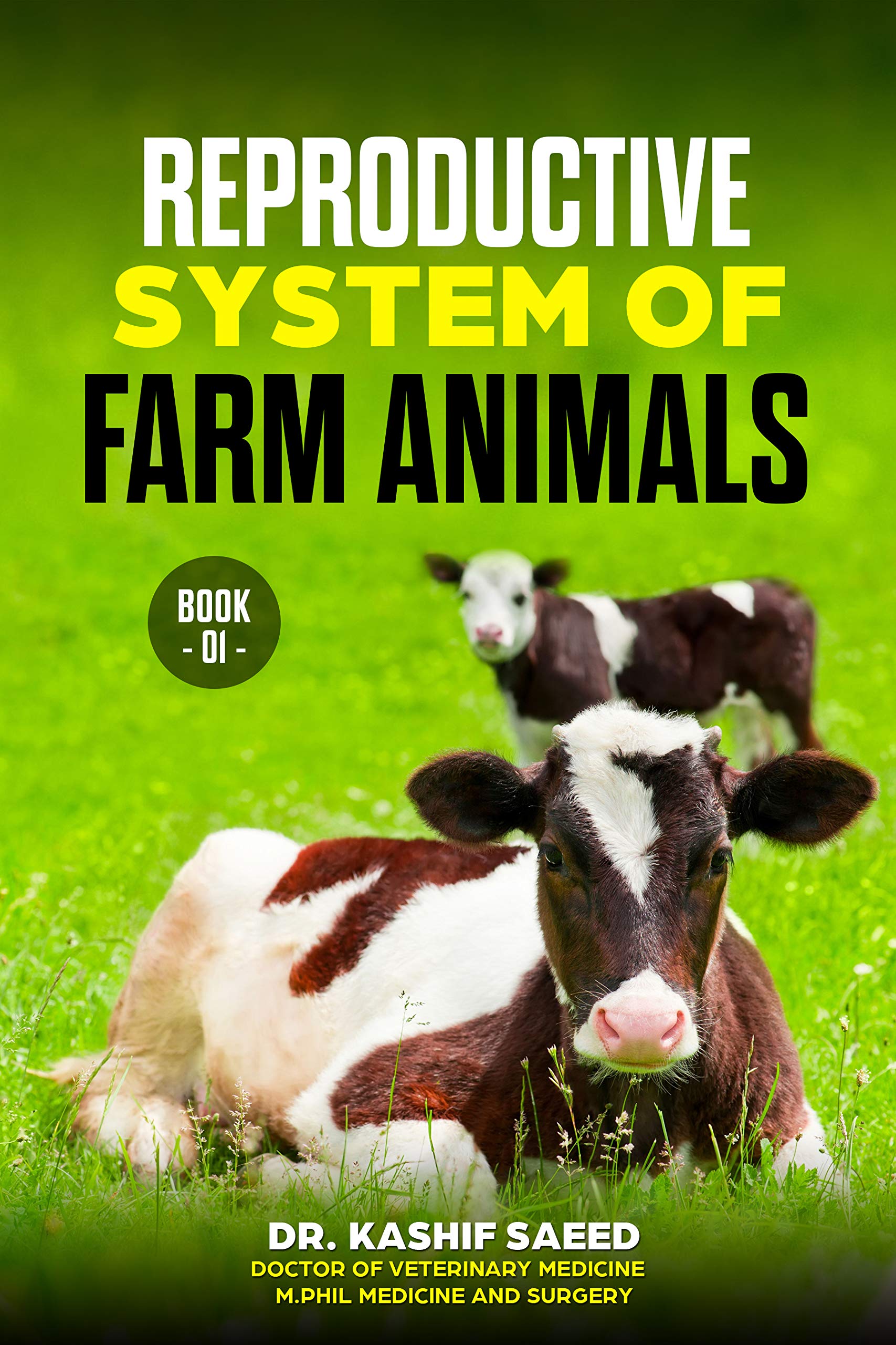 Reproductive System Of Farm Animals Anatomy And Physiology Of Male And Reproductive System Of Farm Animals Anatomy And Physiology Of Male And