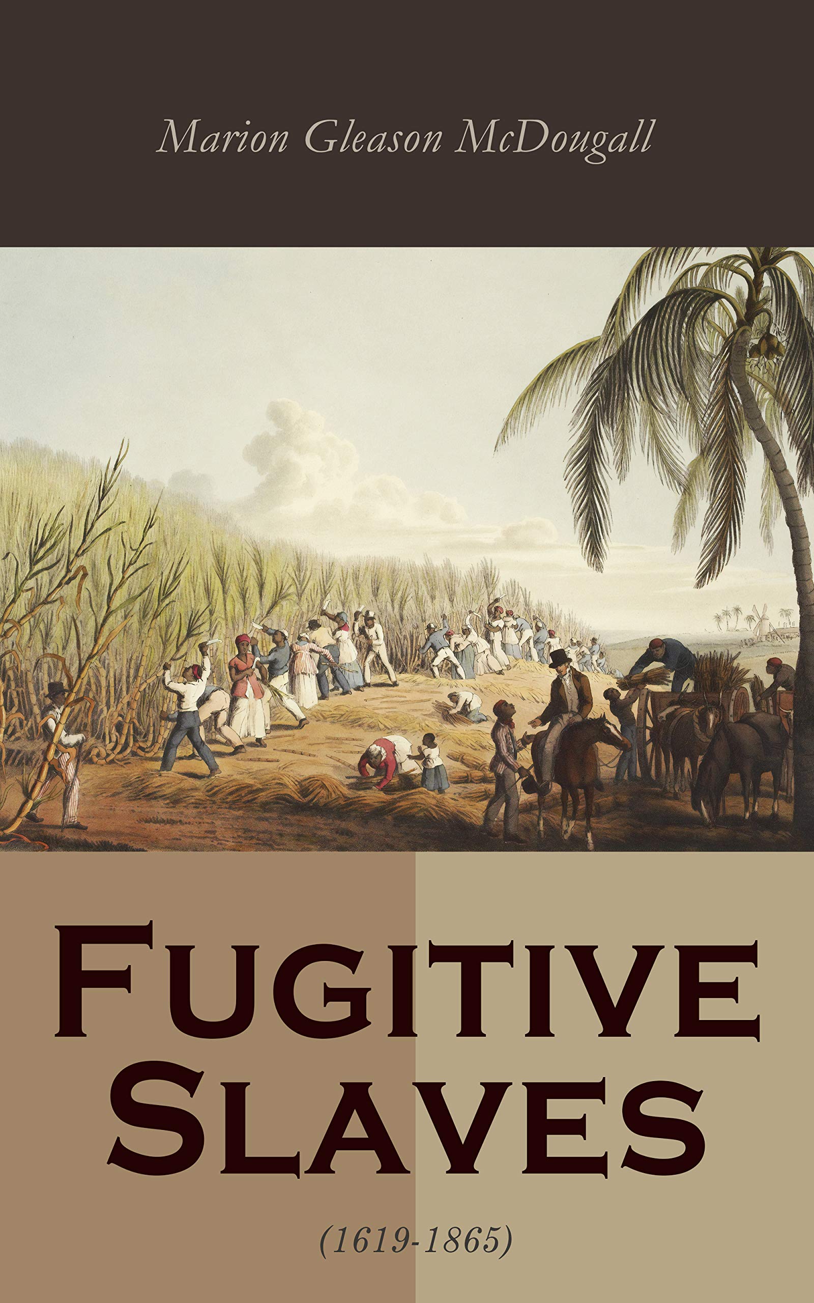Fugitive Slaves (1619-1865): Historical Record of Legal Cases in USA by ...