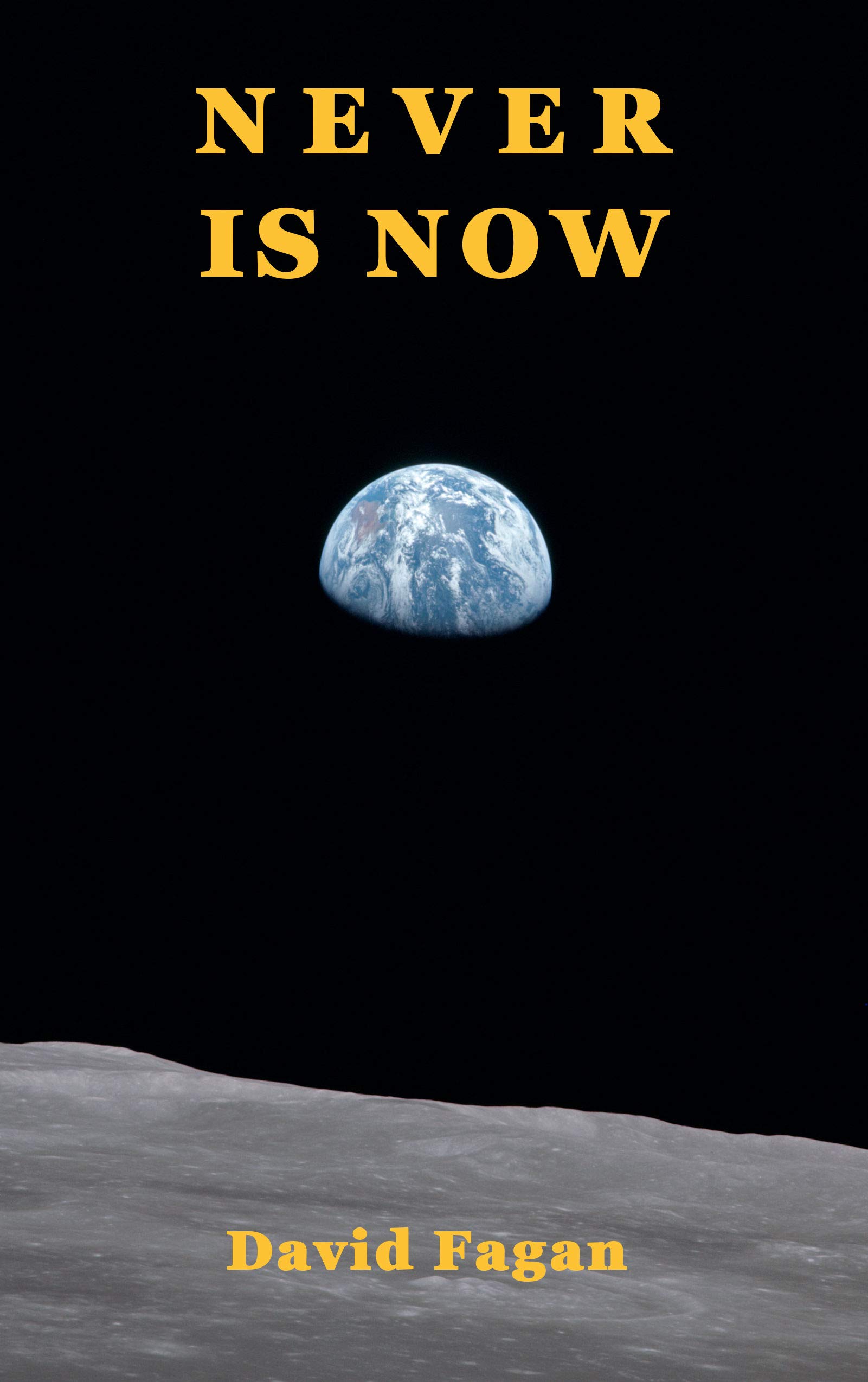 Never Is Now by David Fagan | Goodreads