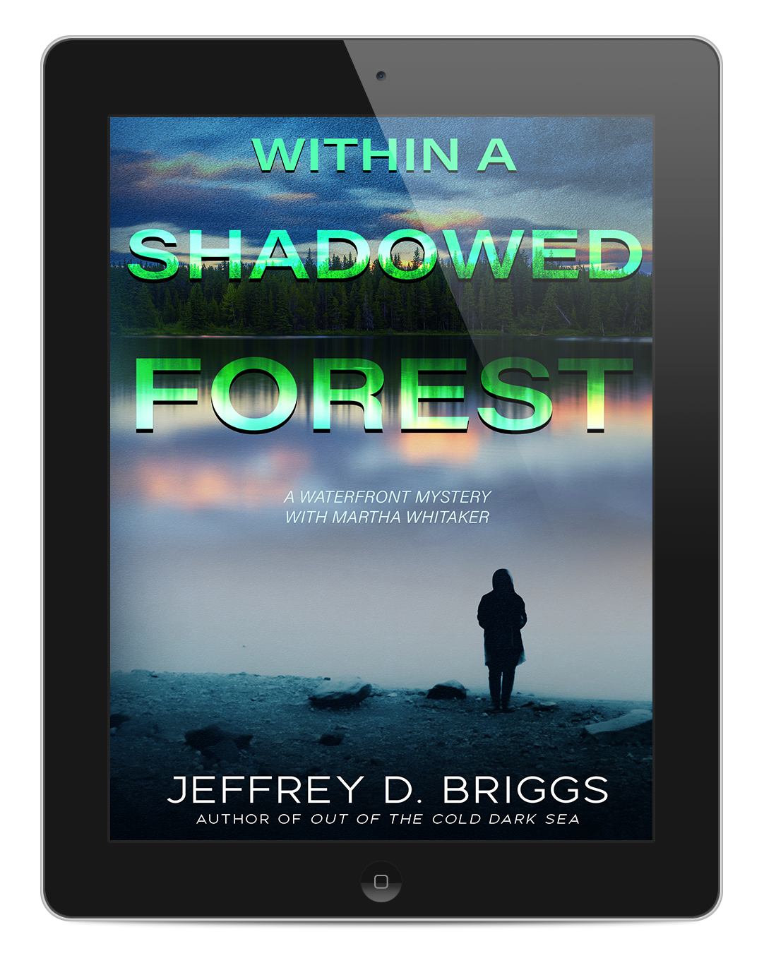Within A Shadowed Forest (Waterfront #2) by Jeffrey D. Briggs | Goodreads
