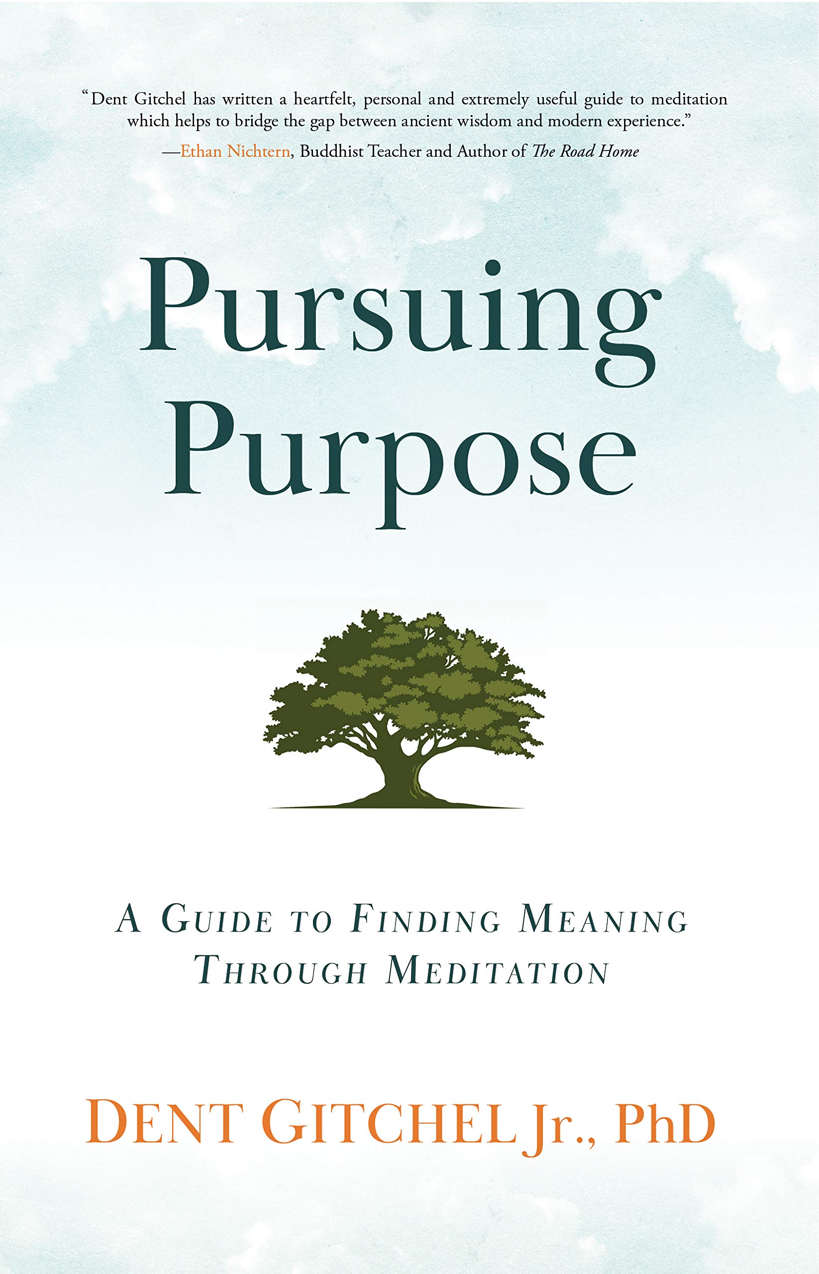 Pursuing Purpose: A Guide To Finding Meaning Through Meditation by Dent ...