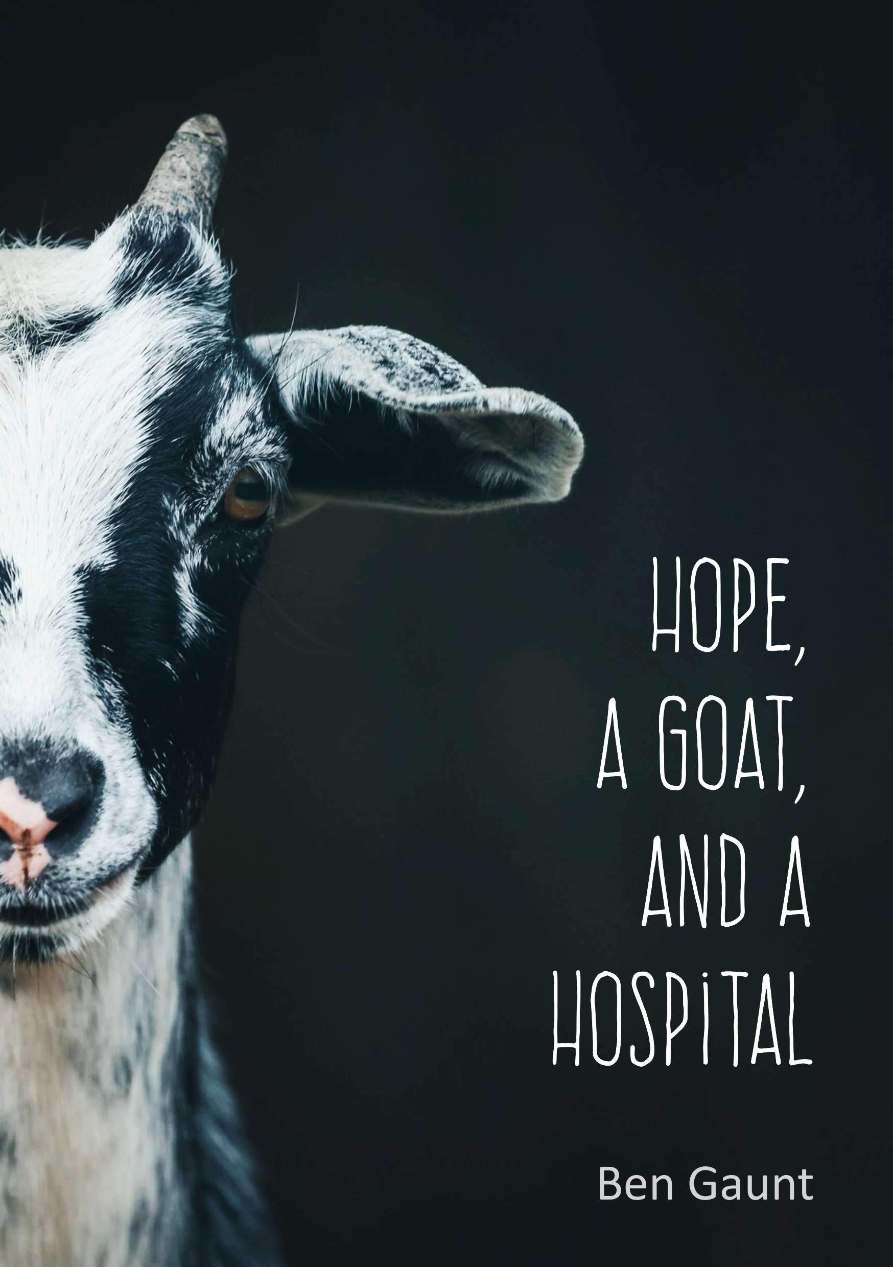 Hope, a Goat, and a Hospital by Ben Gaunt | Goodreads
