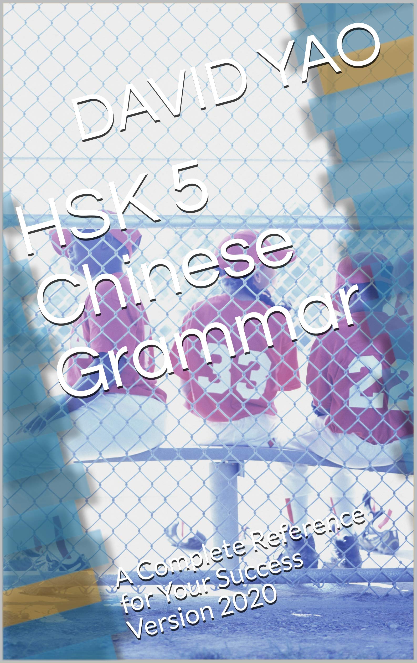 HSK 5 Chinese Grammar 中文语法 : HSK 5 汉语语法 A Complete Reference for Your ...