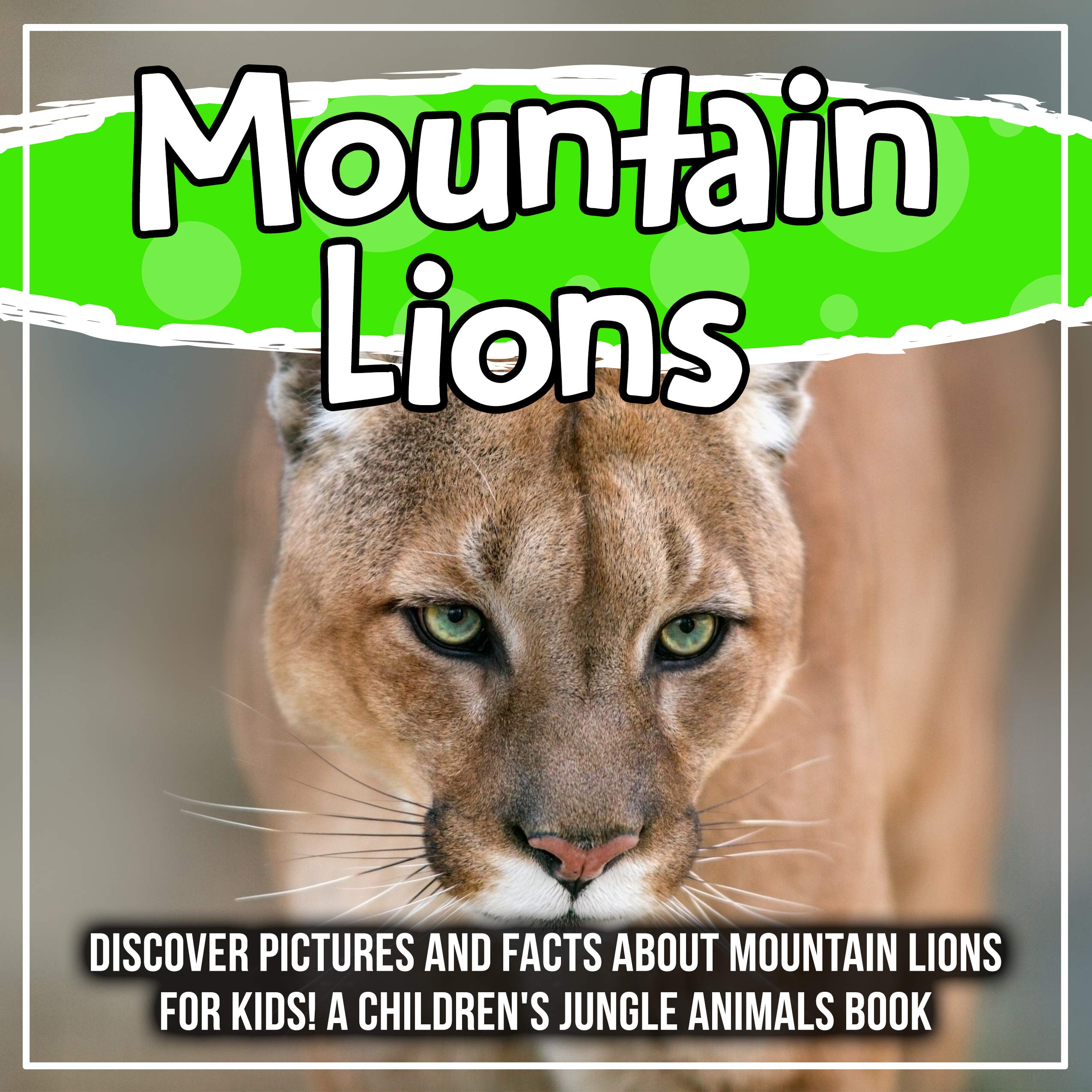 Mountain Lions: Discover Pictures and Facts About Mountain Lions For ...