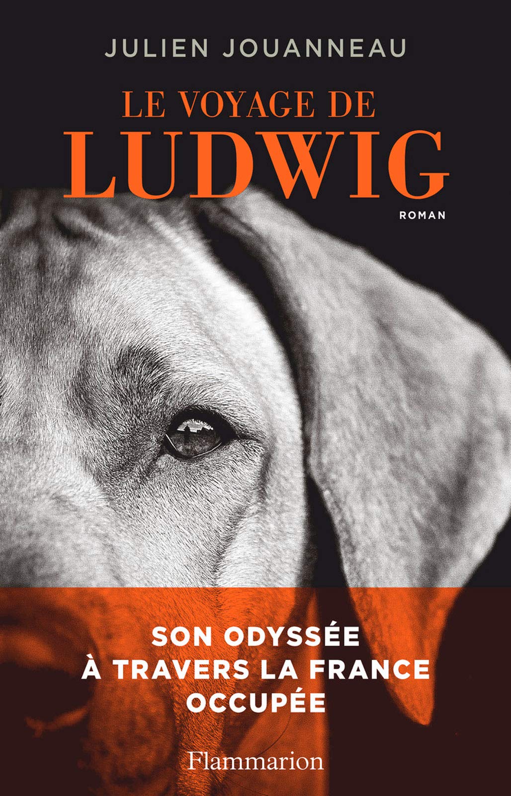 Le voyage de Ludwig (Littérature française) by Julien Jouanneau | Goodreads