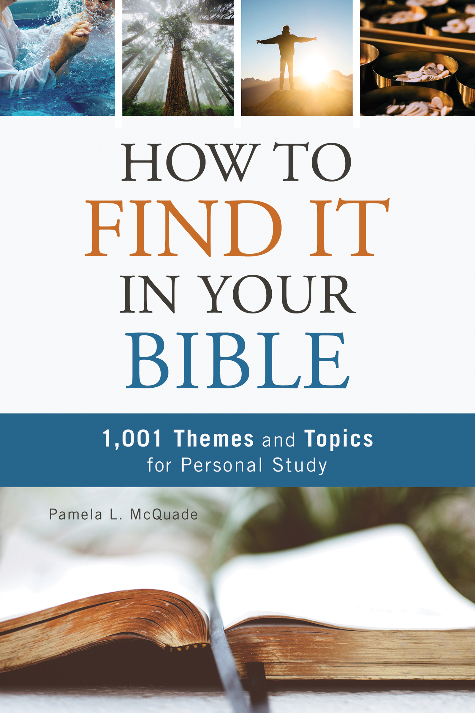 How to Find It in Your Bible: 1,001 Themes and Topics for Personal ...