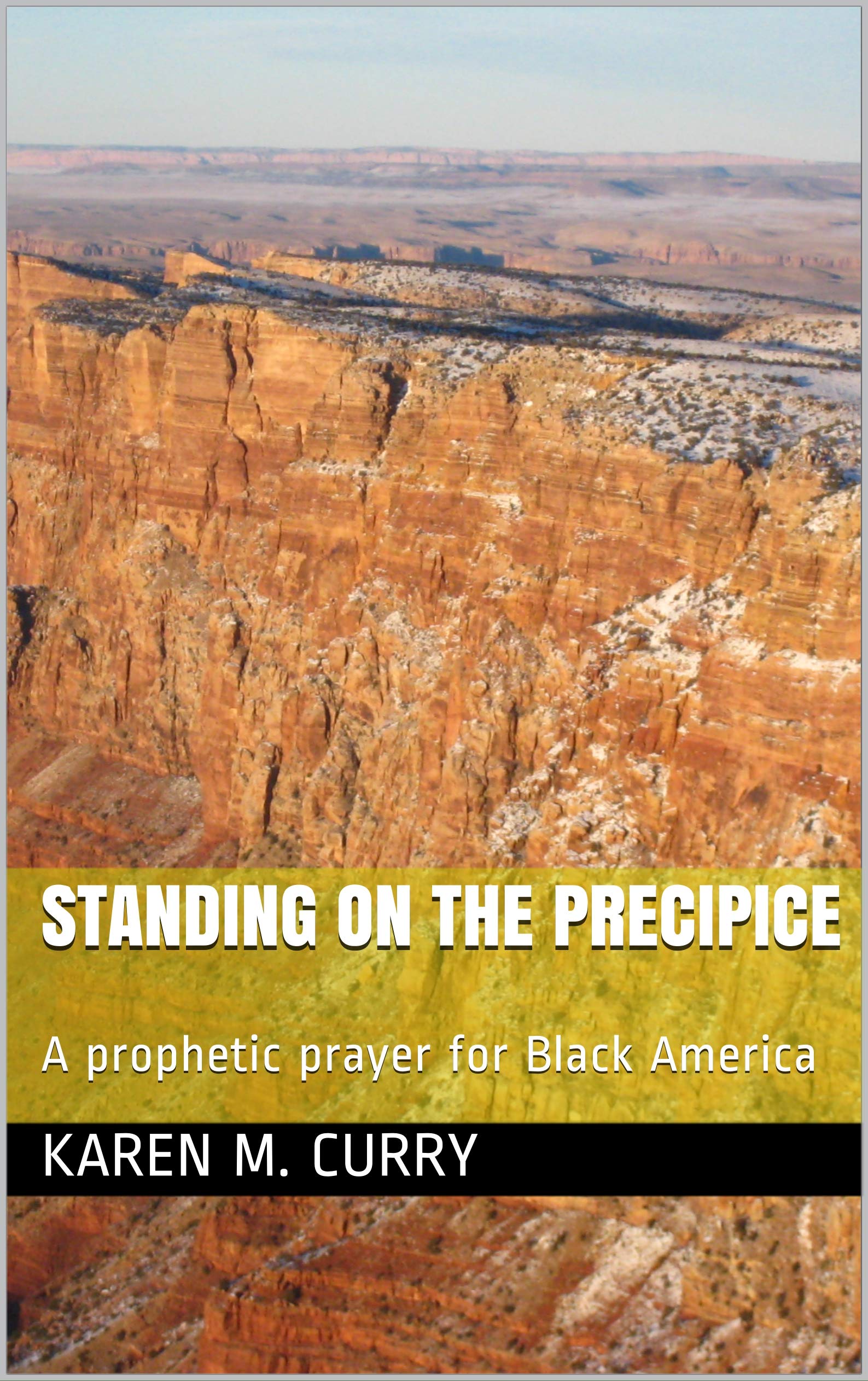 Standing on the Precipice: A prophetic prayer for Black America by ...