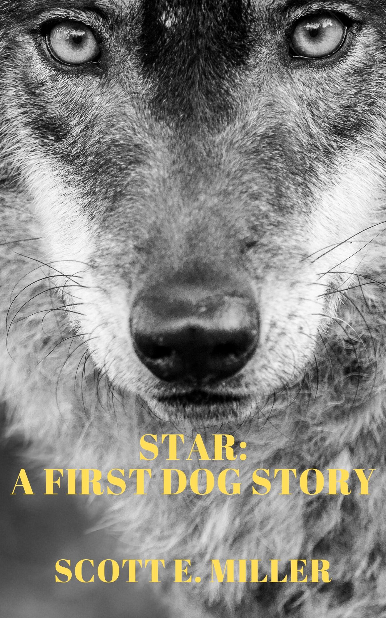 Star: A First Dog Story by Scott E. Miller | Goodreads