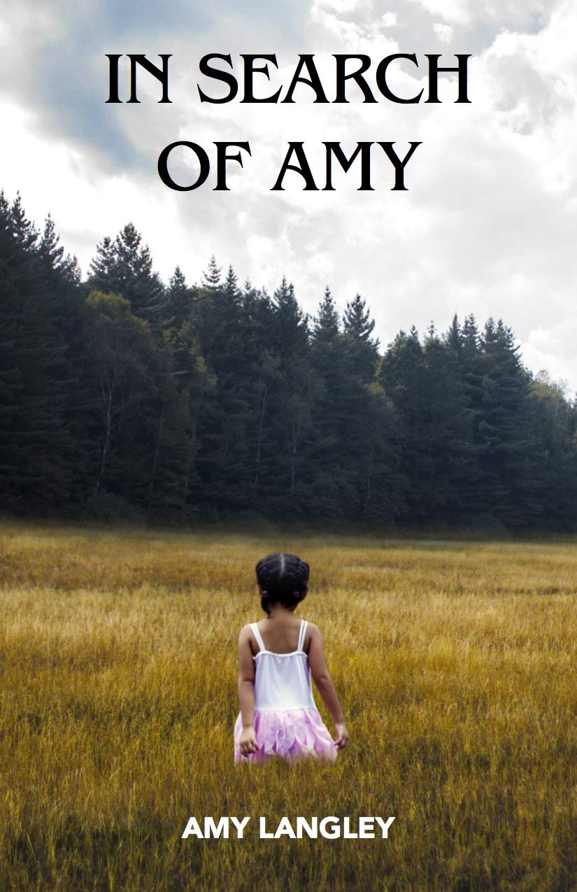 In Search Of Amy by Amy Langley | Goodreads