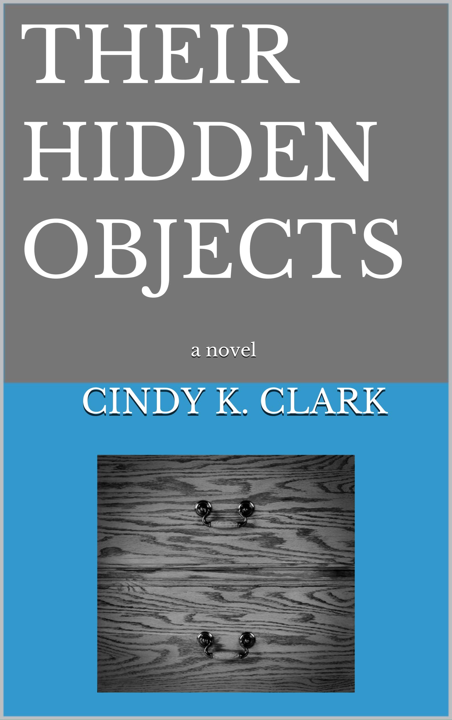THEIR HIDDEN OBJECTS: a novel by Cindy K. Clark | Goodreads