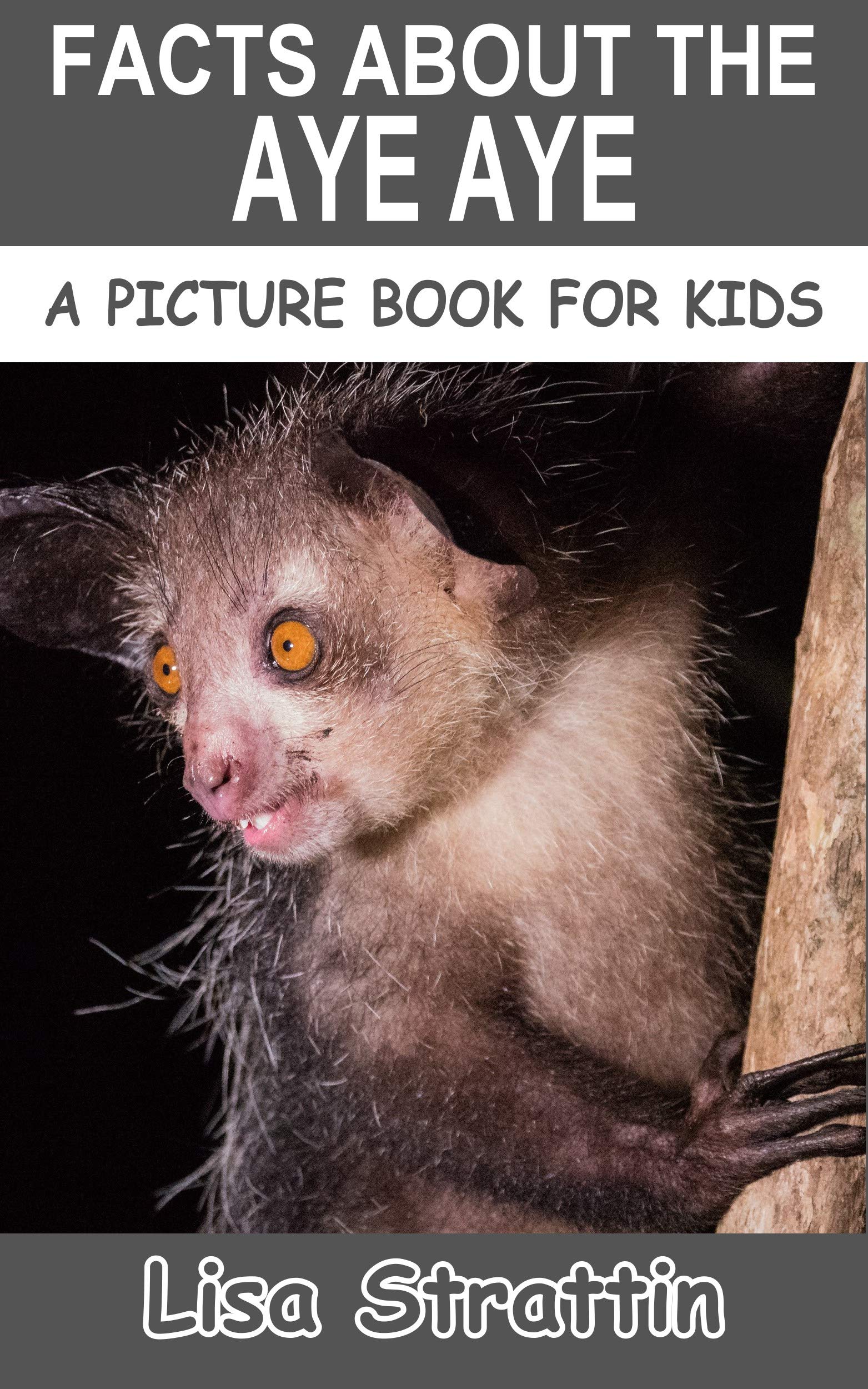 Facts About the Aye Aye by Lisa Strattin | Goodreads