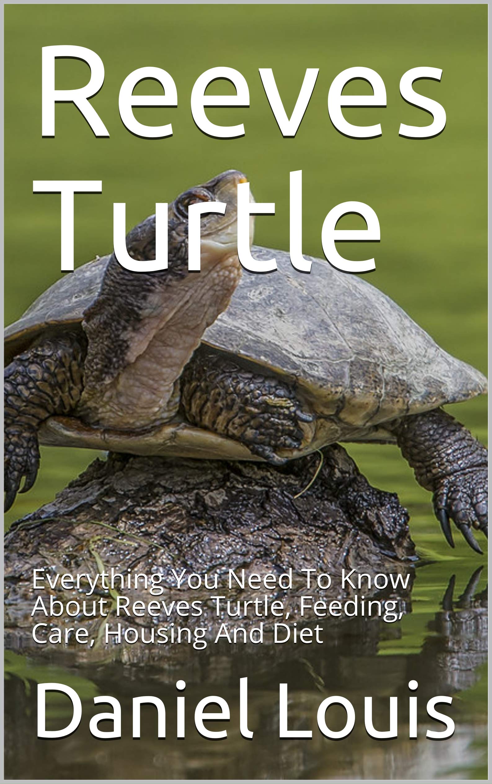 Reeves Turtle: Everything You Need To Know About Reeves Turtle, Feeding ...