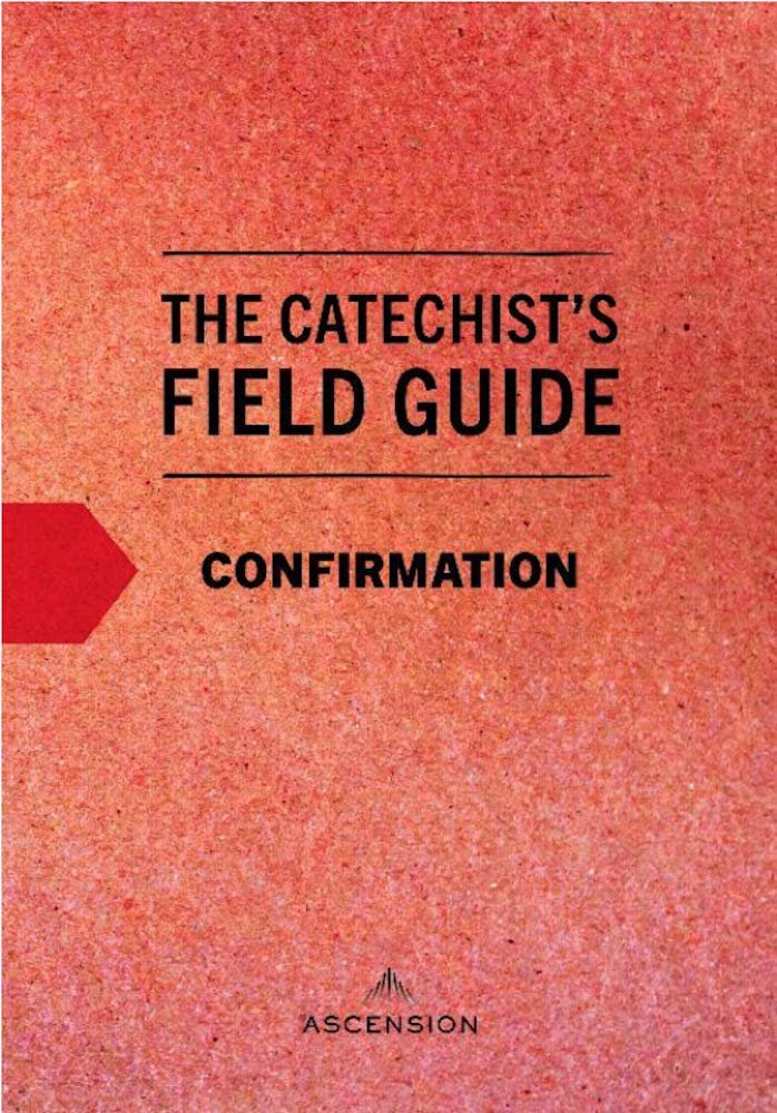 Catechist's Field Guide to Confirmation by Colin MacIver | Goodreads