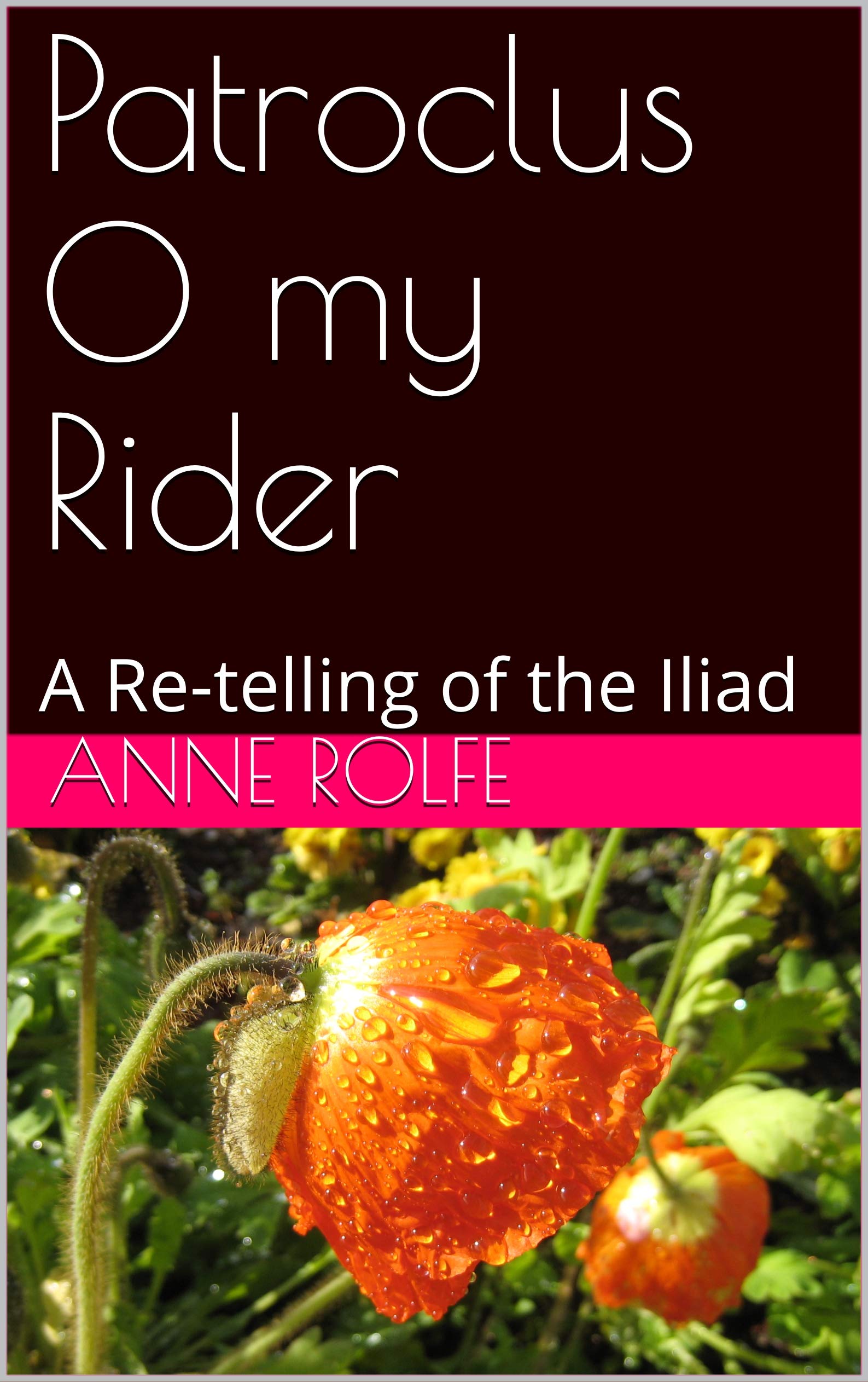 Patroclus O my Rider: A Re-telling of the Iliad by Anne Rolfe | Goodreads
