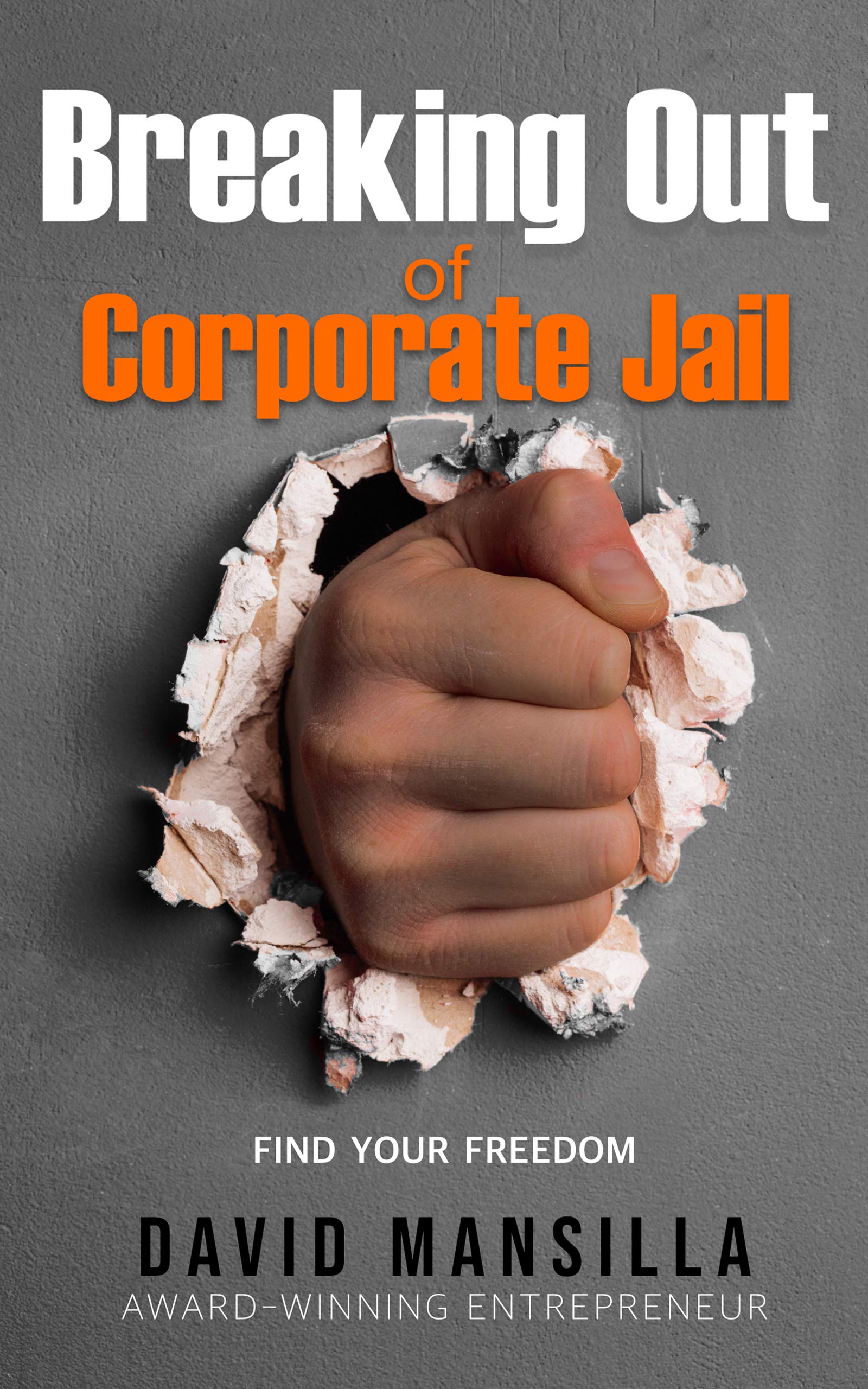 Breaking Out of Corporate Jail: Find Your Freedom by David Mansilla ...