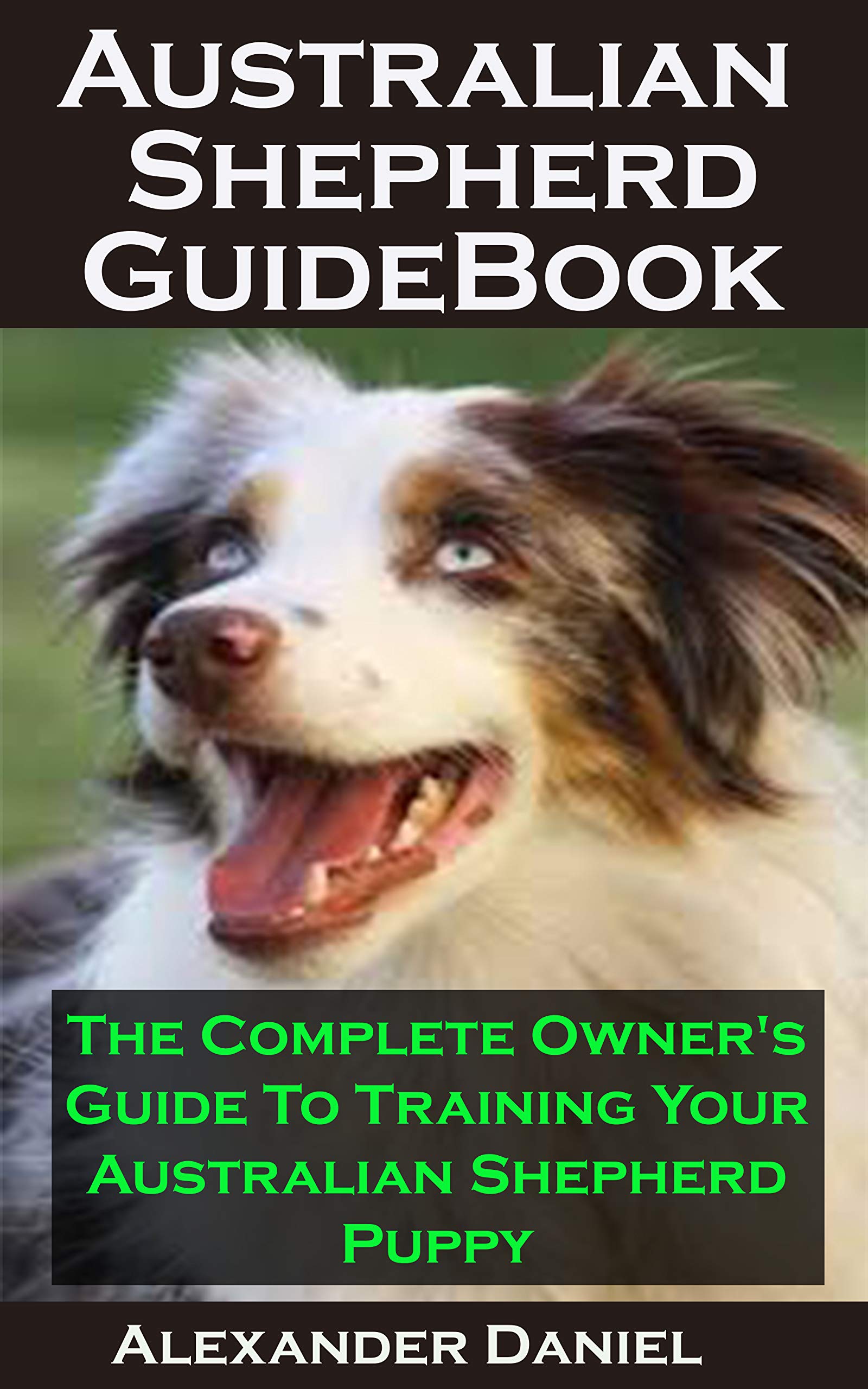 Australian Shepherd GuideBook: Australian Shepherd GuideBook: The ...